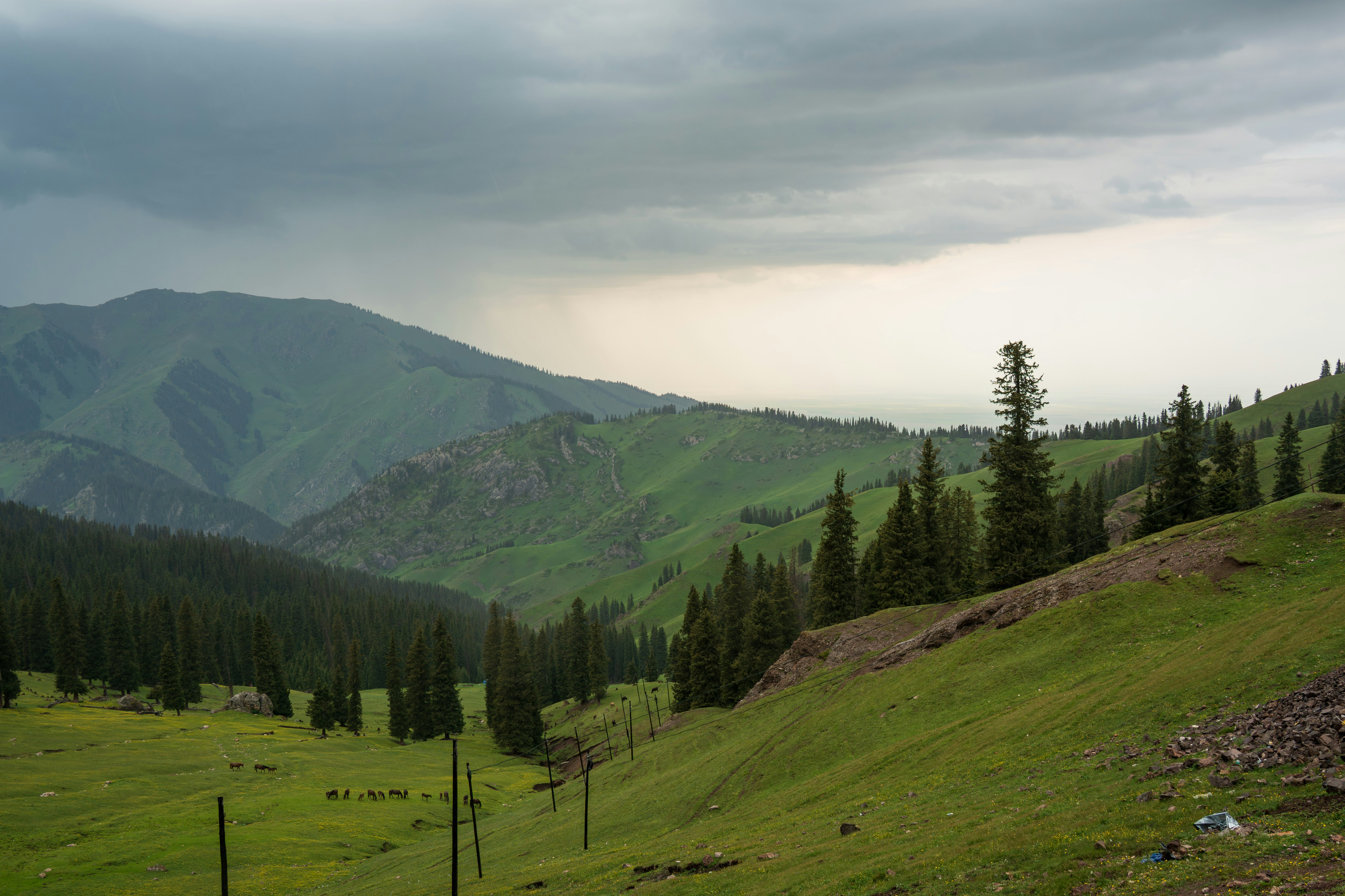 Rolling Green Valleys Under a Quiet Skies