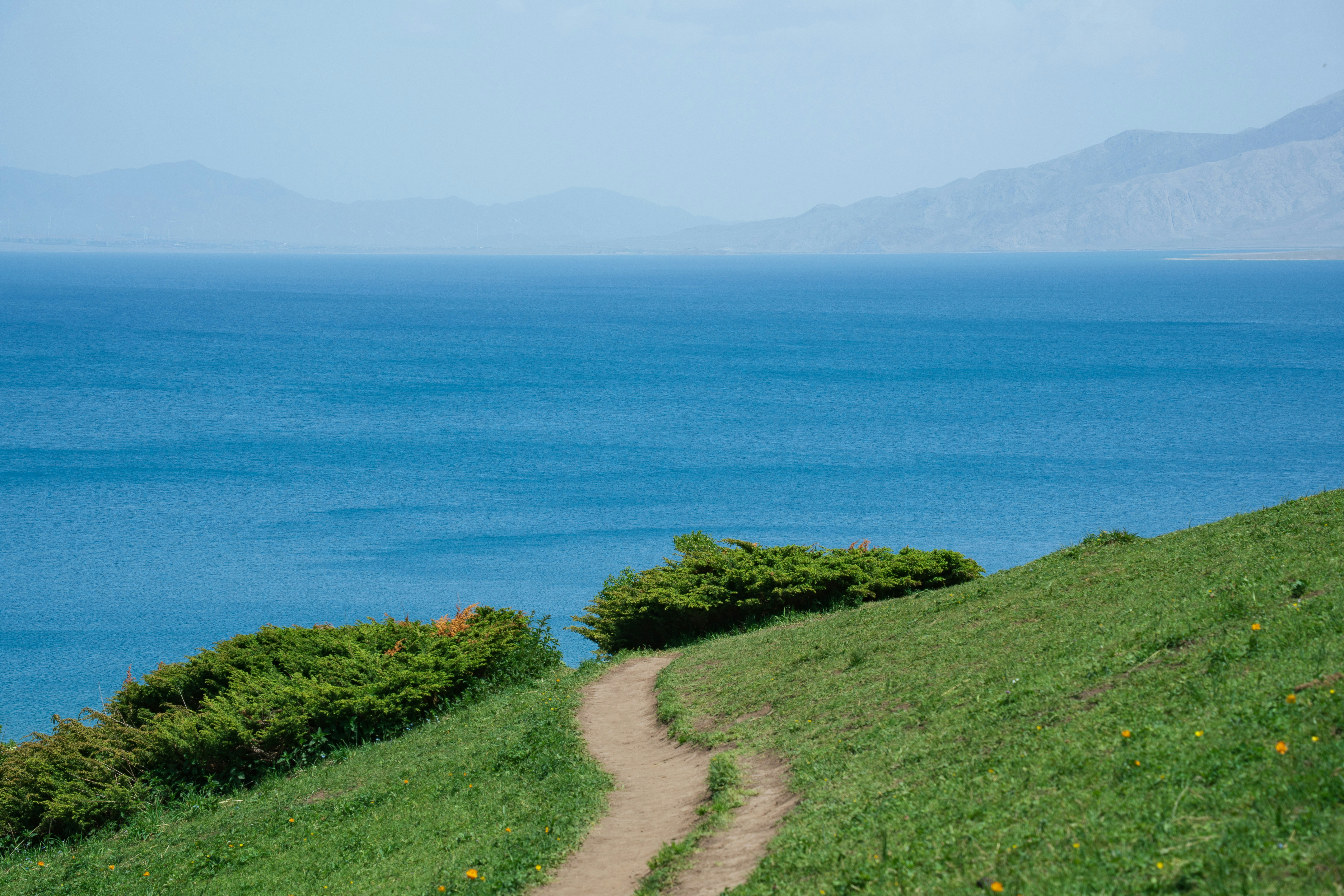 Trail toward the Sea: A Sunny Coastal Clifftop Walk