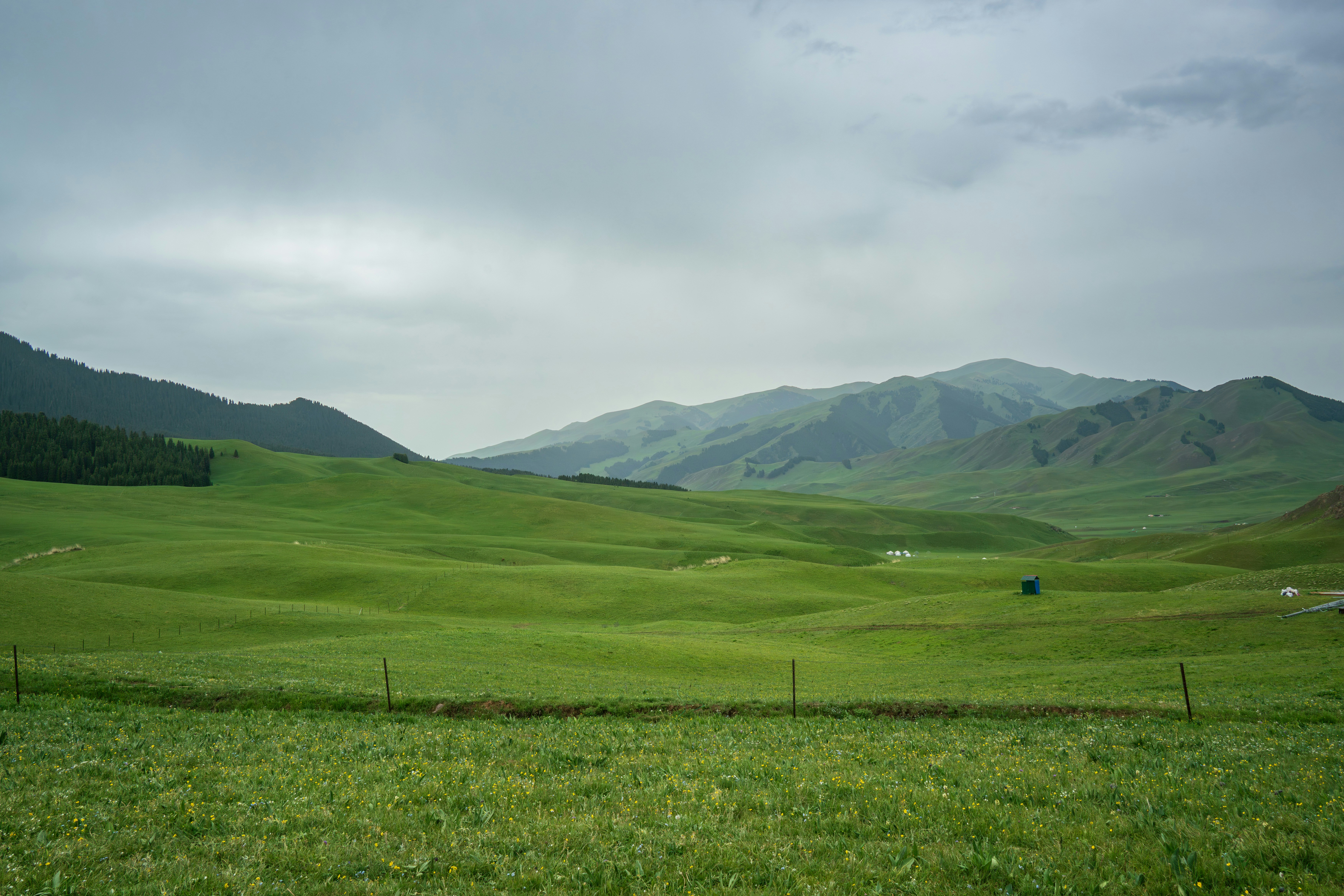 Pastoral Waves: Rolling Hills Under Quiet Skies