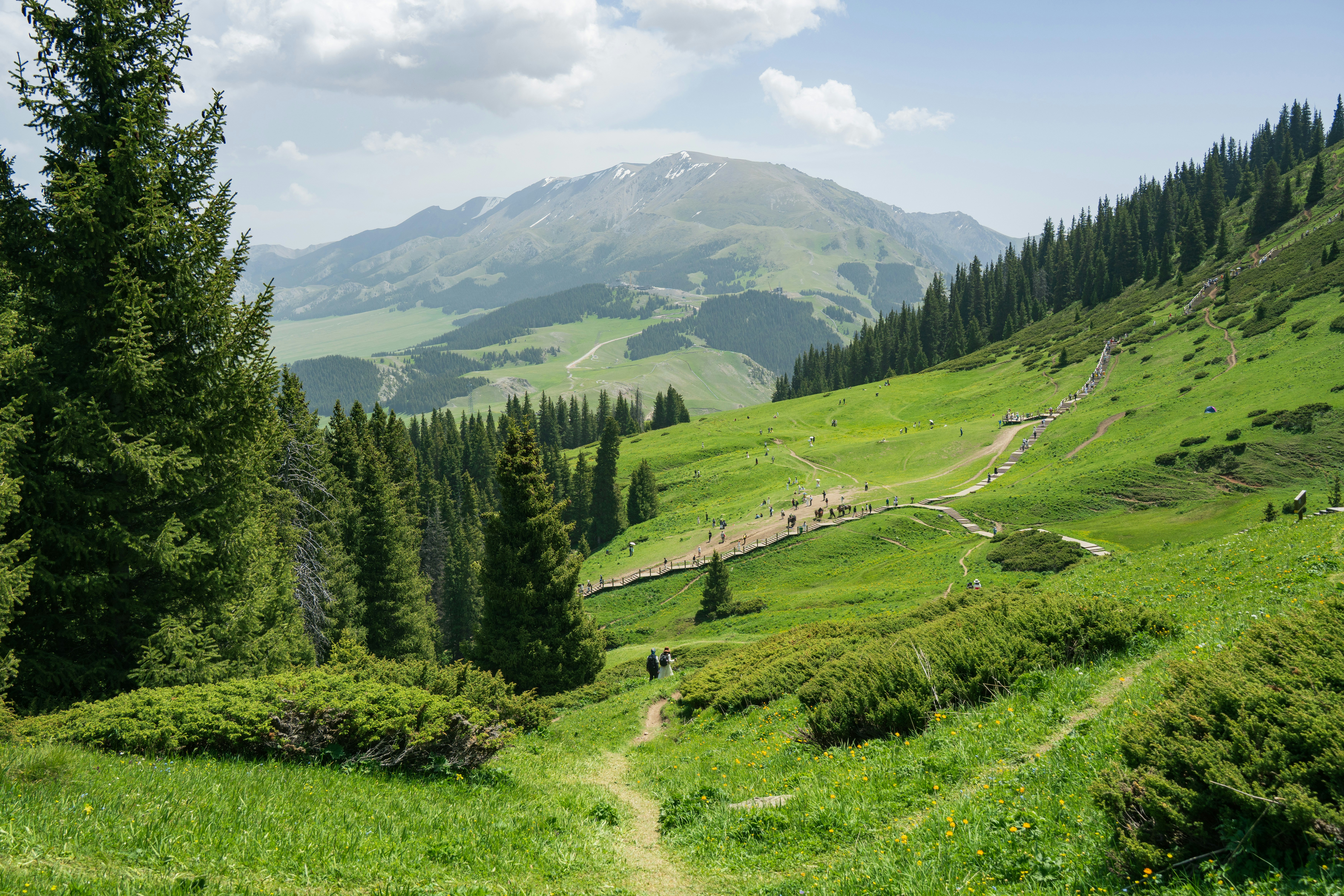 Trail Through a Sunlit Alpine Meadow Toward Distant Peaks