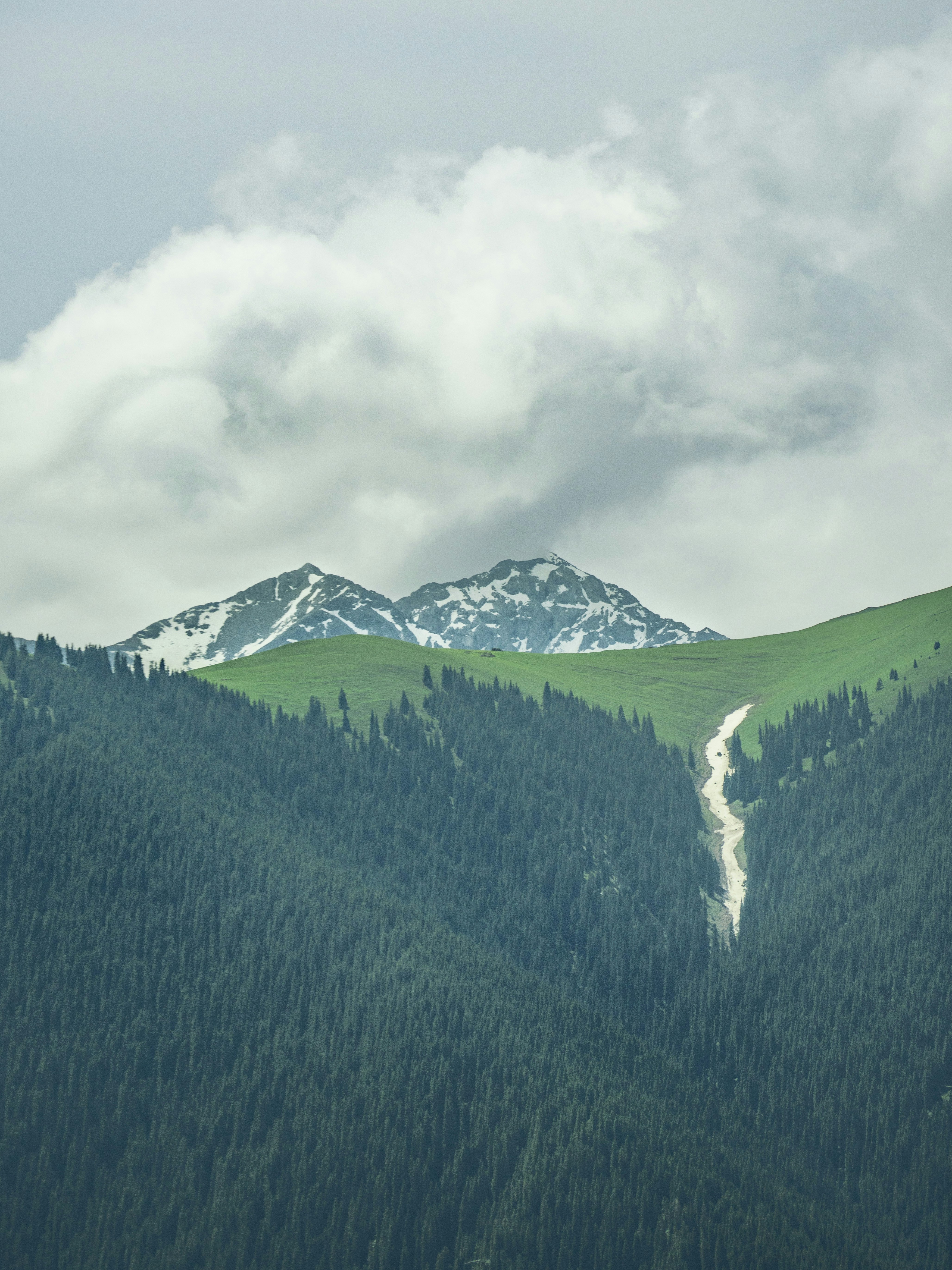 Snow-dusted Ridge Above a Verdant Carpathian Sweep
