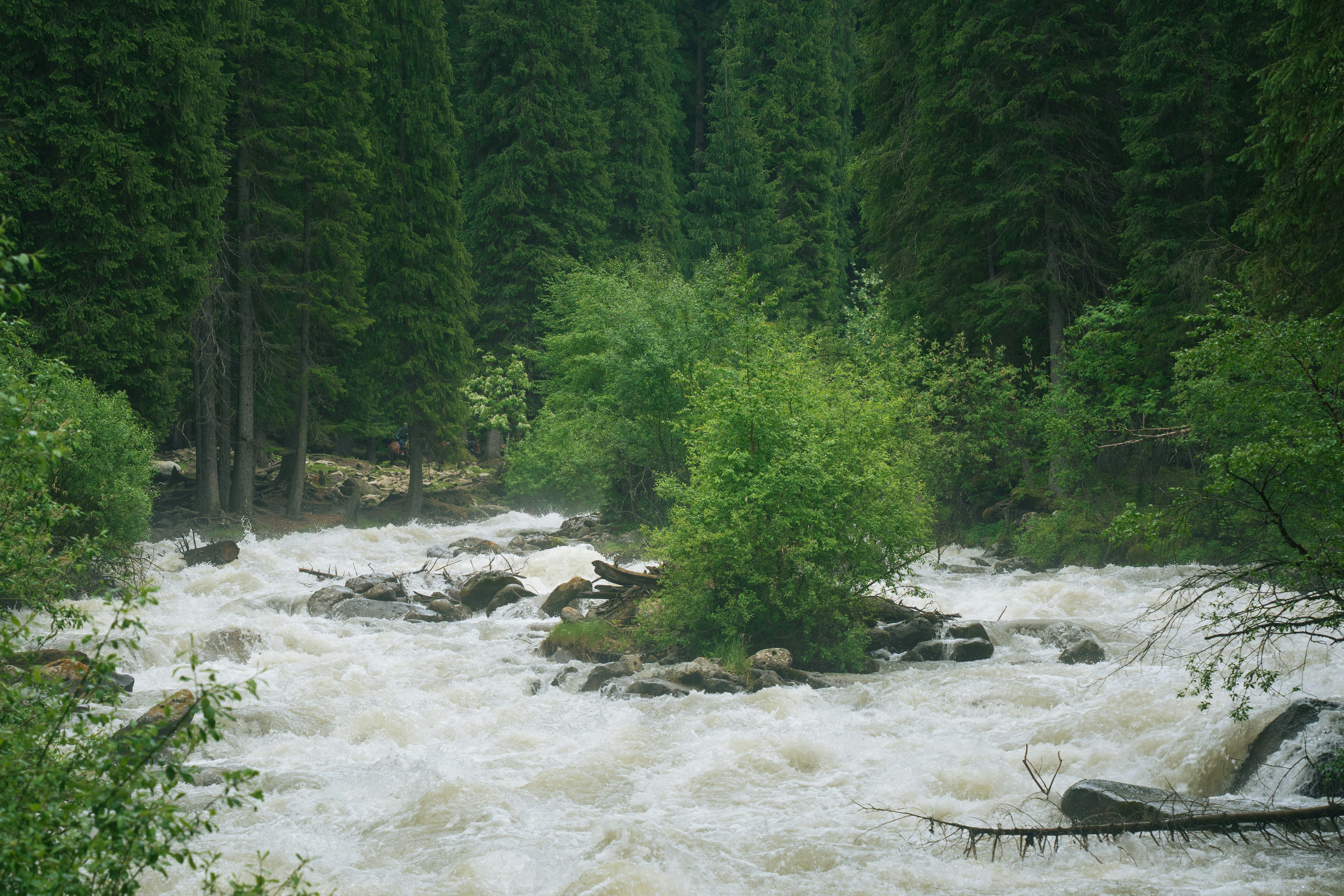 River Surge Through Forest Gorge