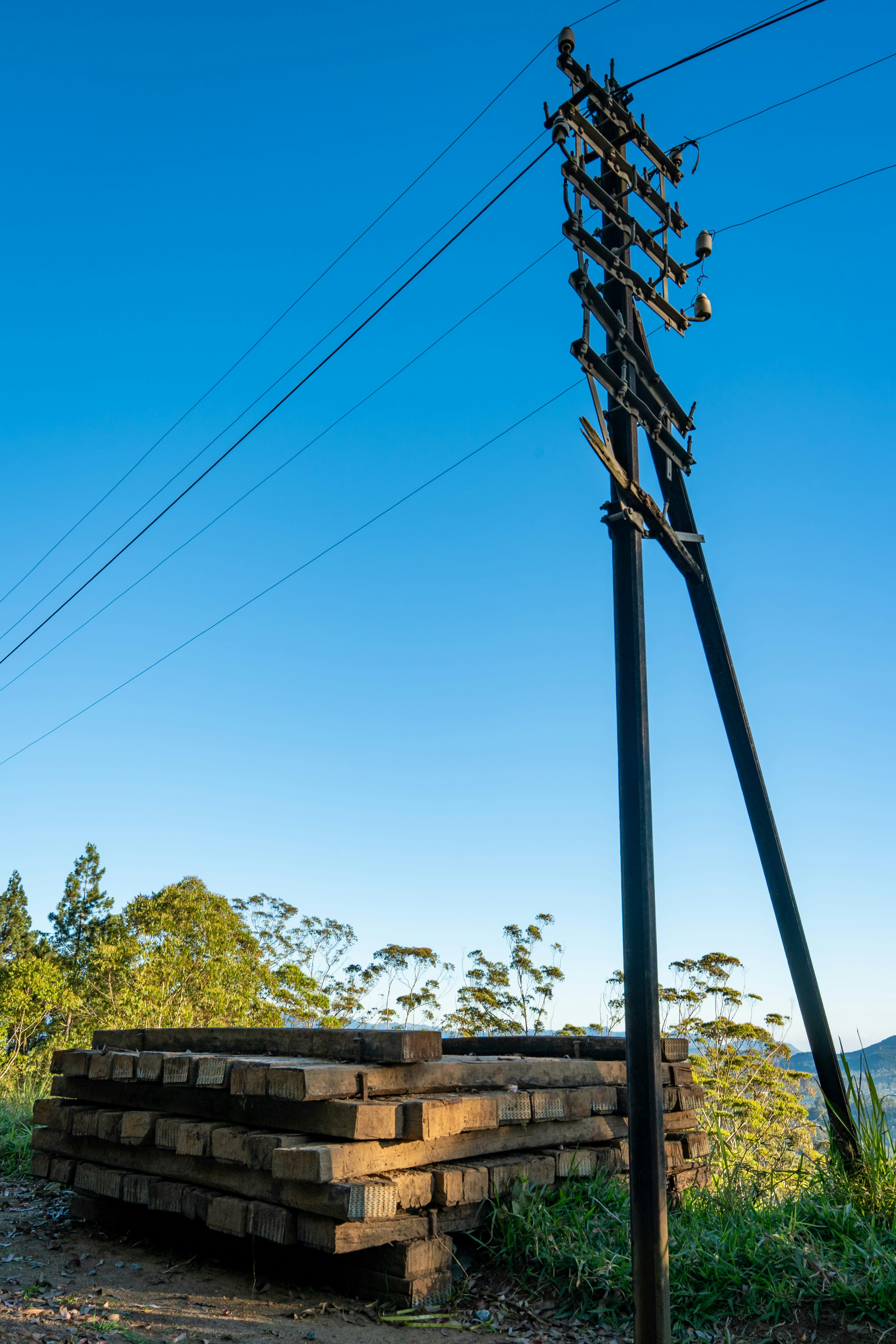 Industrial Timber under a Clear Sky
