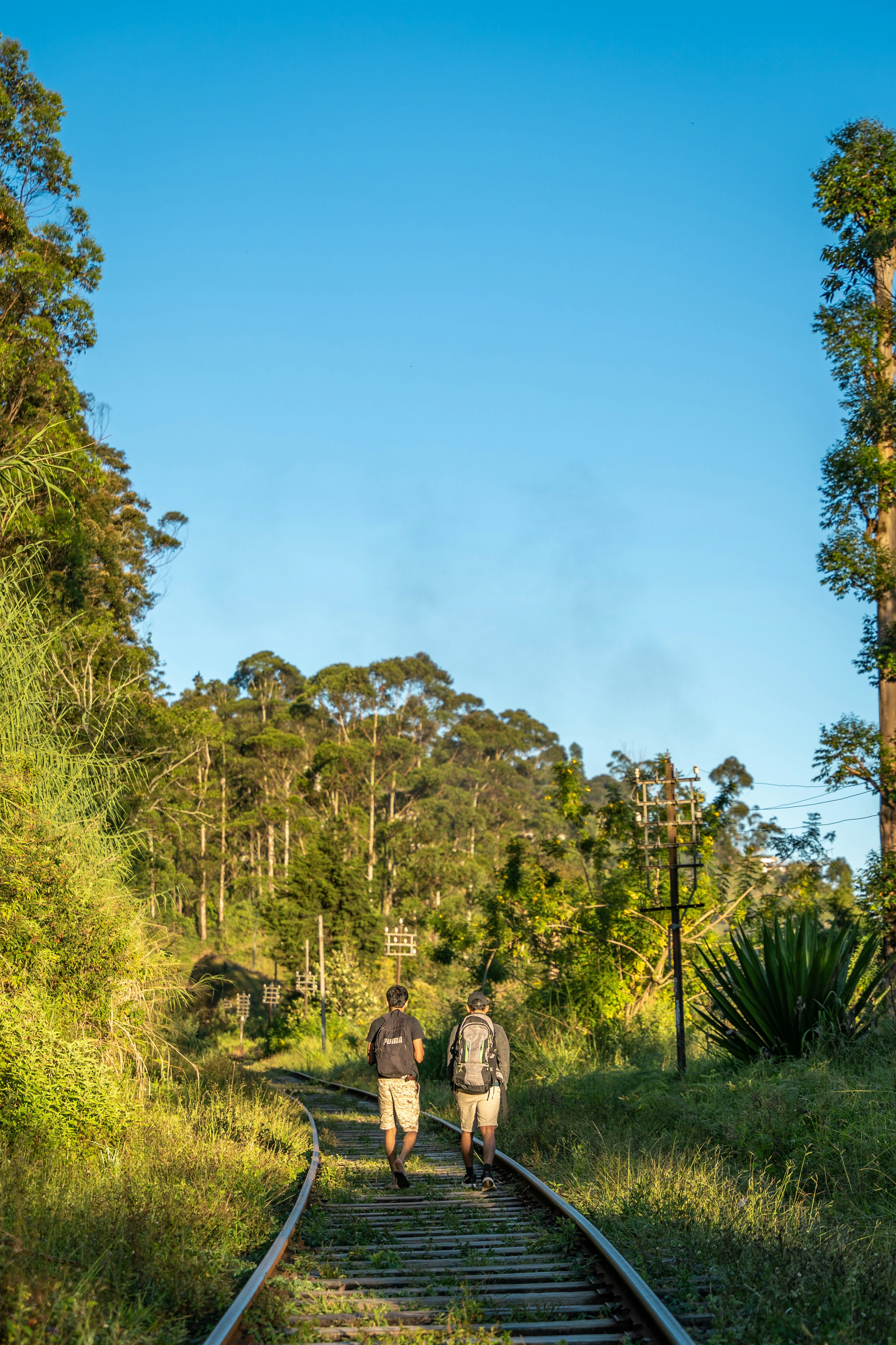 Two hikers on a sunlit railway through a tropical vale