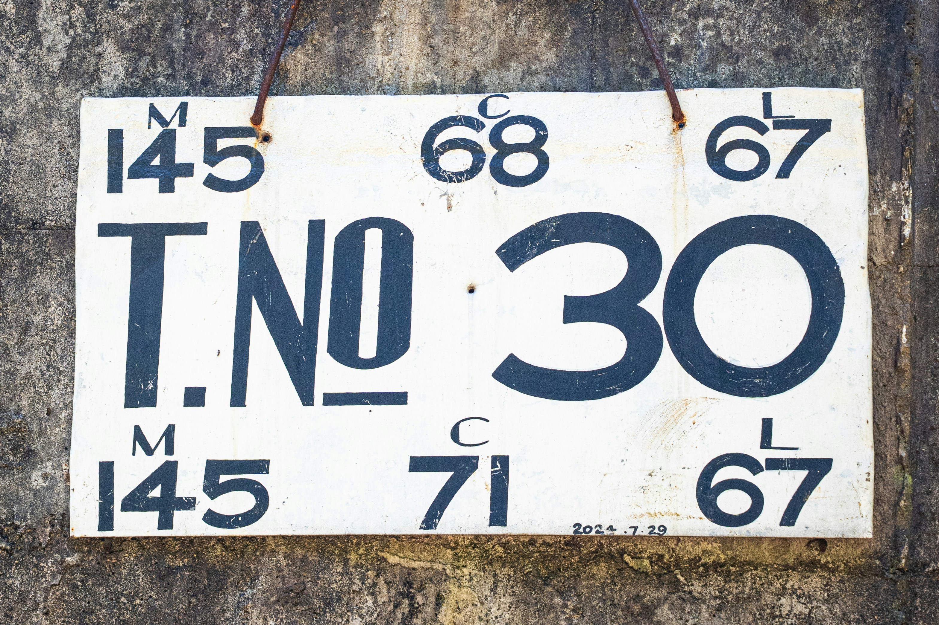 Weathered T. No. 30 Sign—Numbers and Letters on a Rustic Plaque