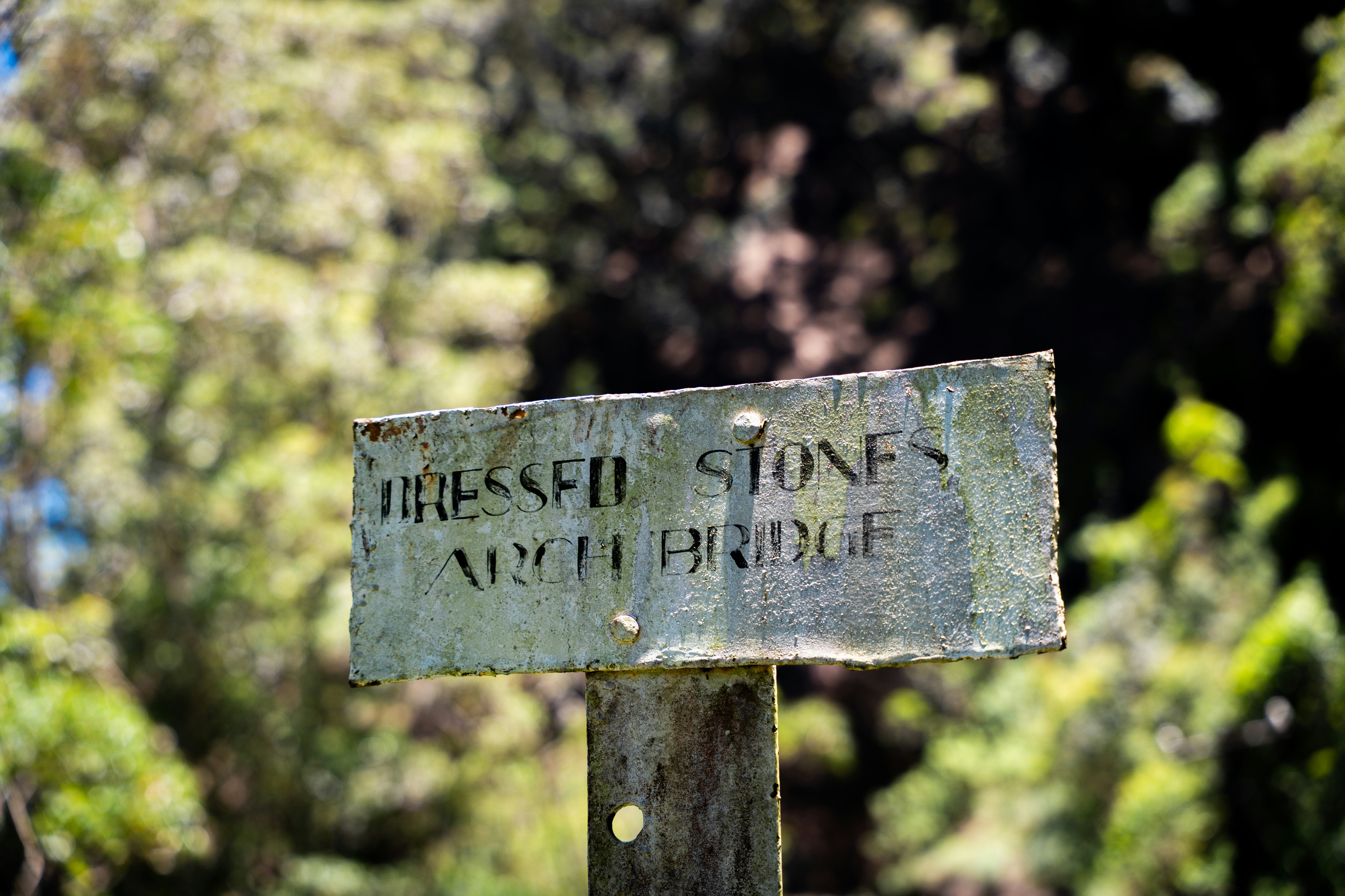 Weathered beacon: a mossy sign on a quiet trail