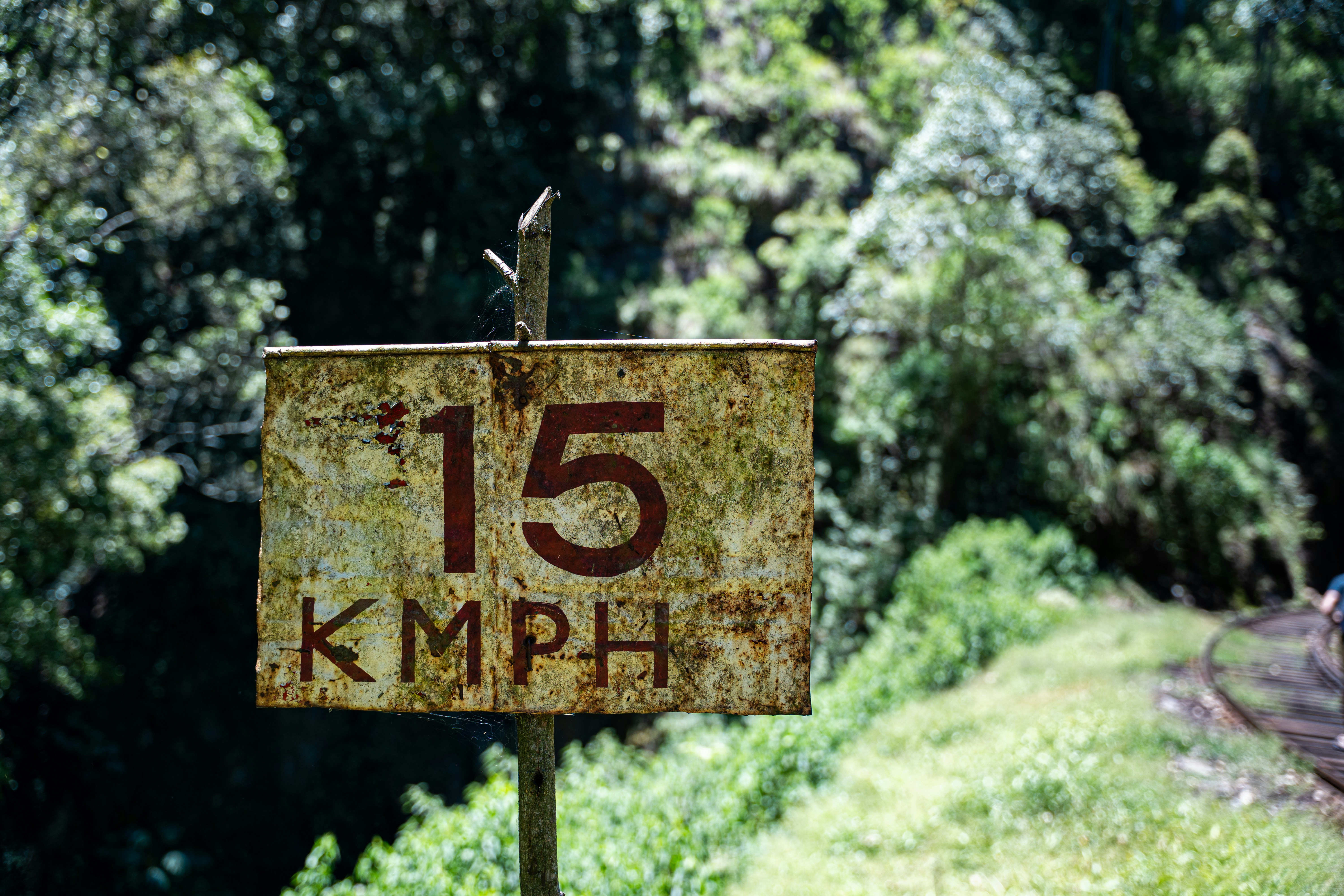 Rusted Speed Sign in a Sunlit Forest Clearing