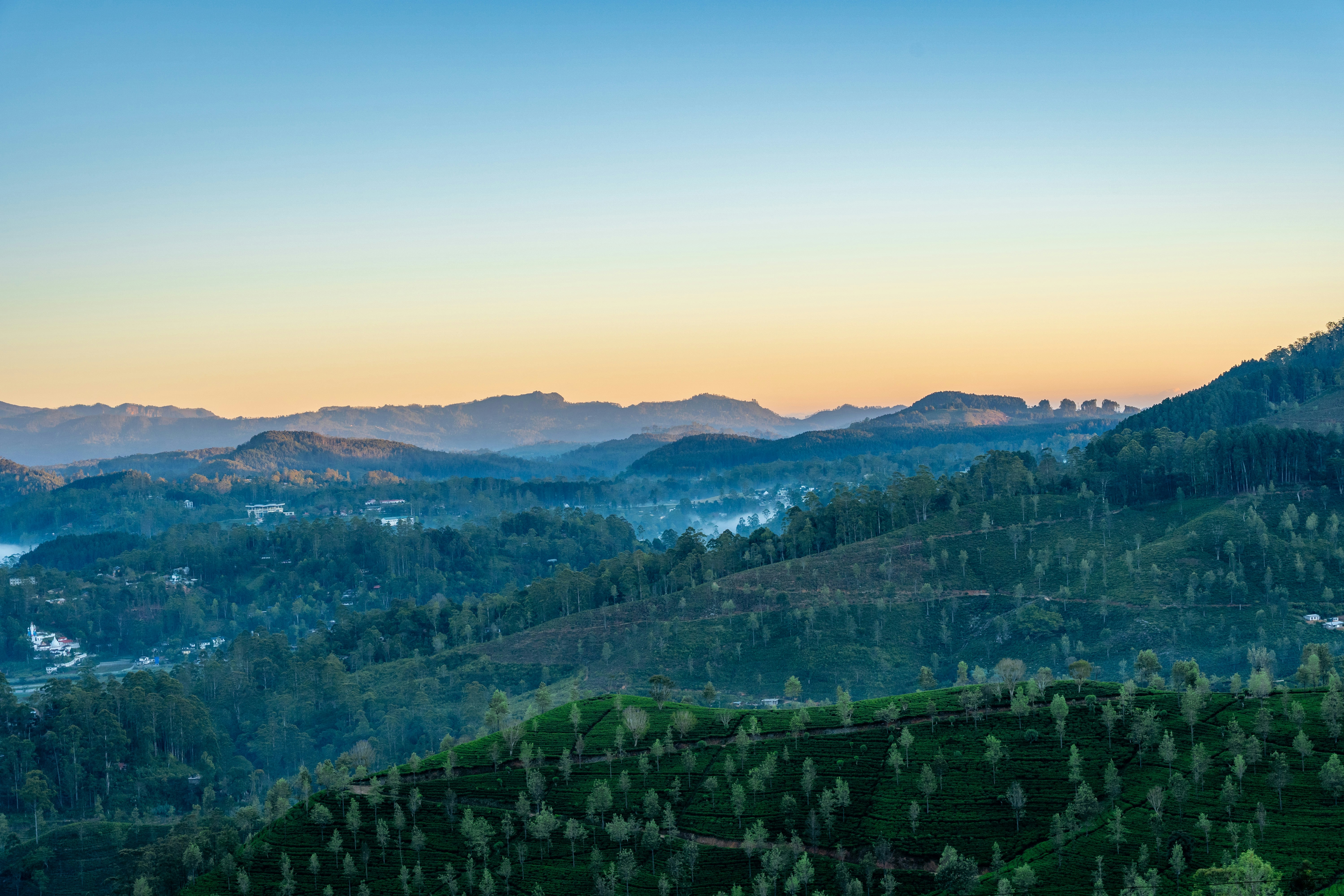 Dawn over Valley Ridges: A Quiet Sweep of Hills and Forest