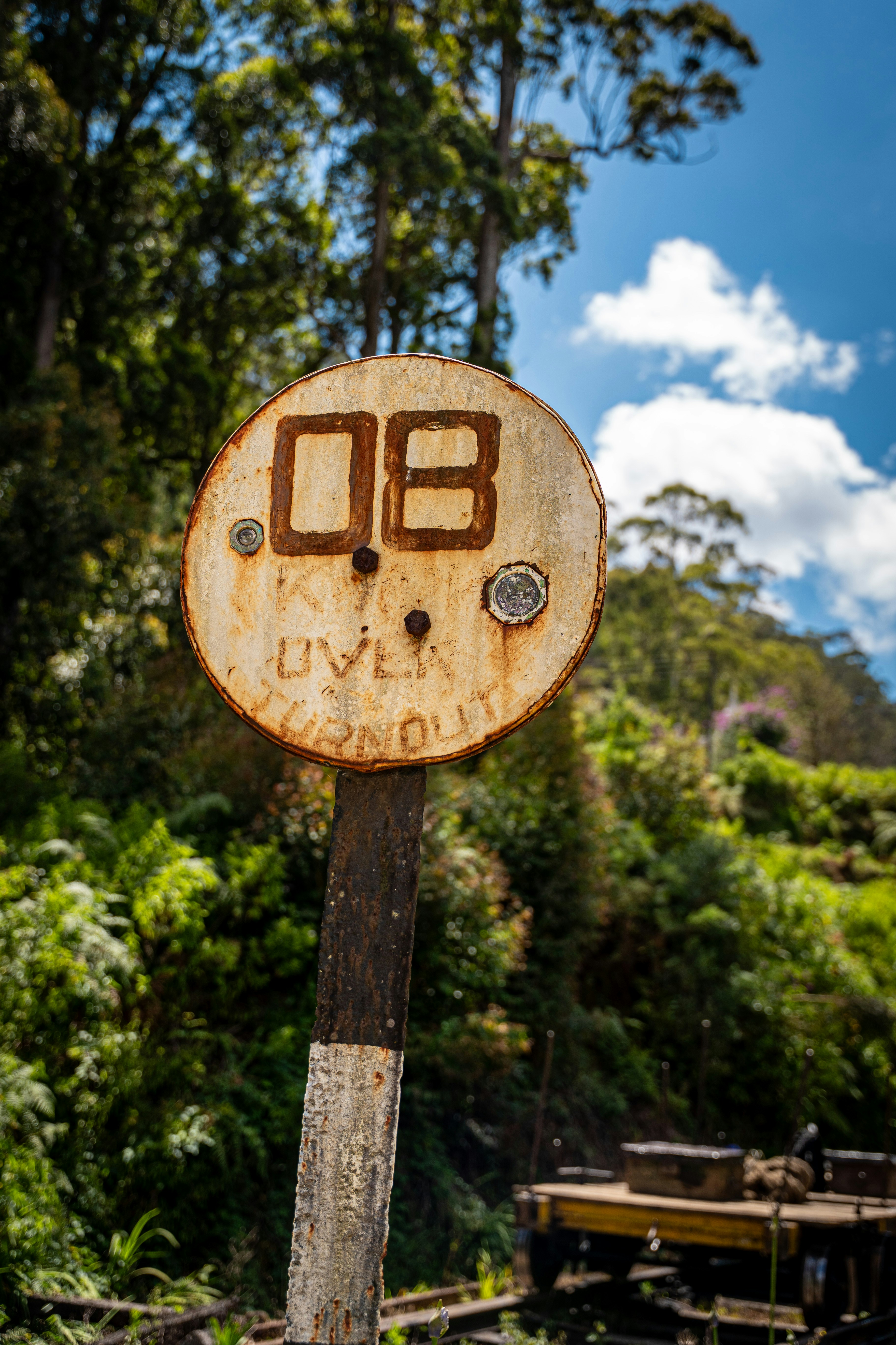 Rusting Signpost in a Lush Clearing