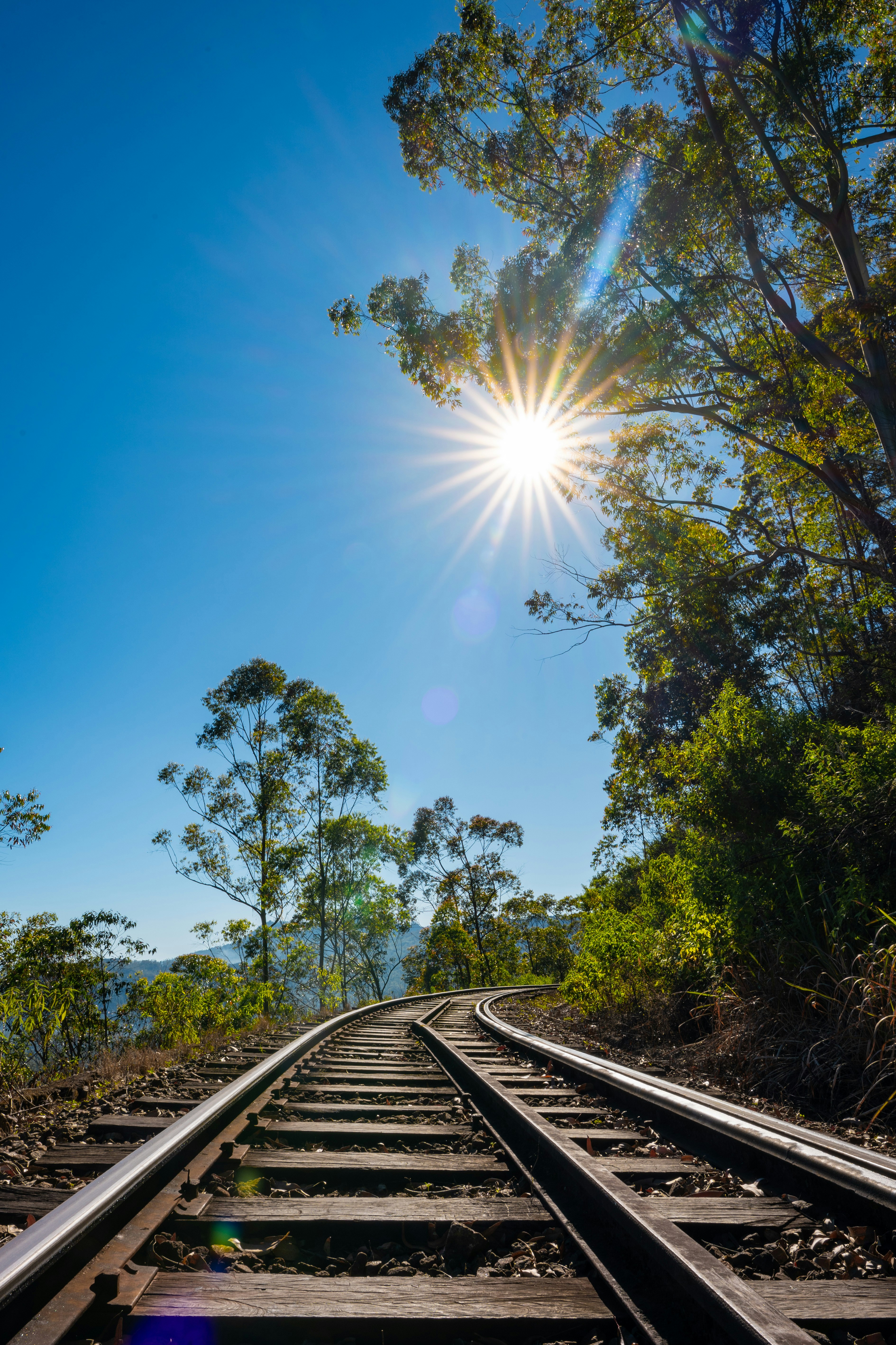 Sunburst on the Rails: A Sunny Ascent into the Forest
