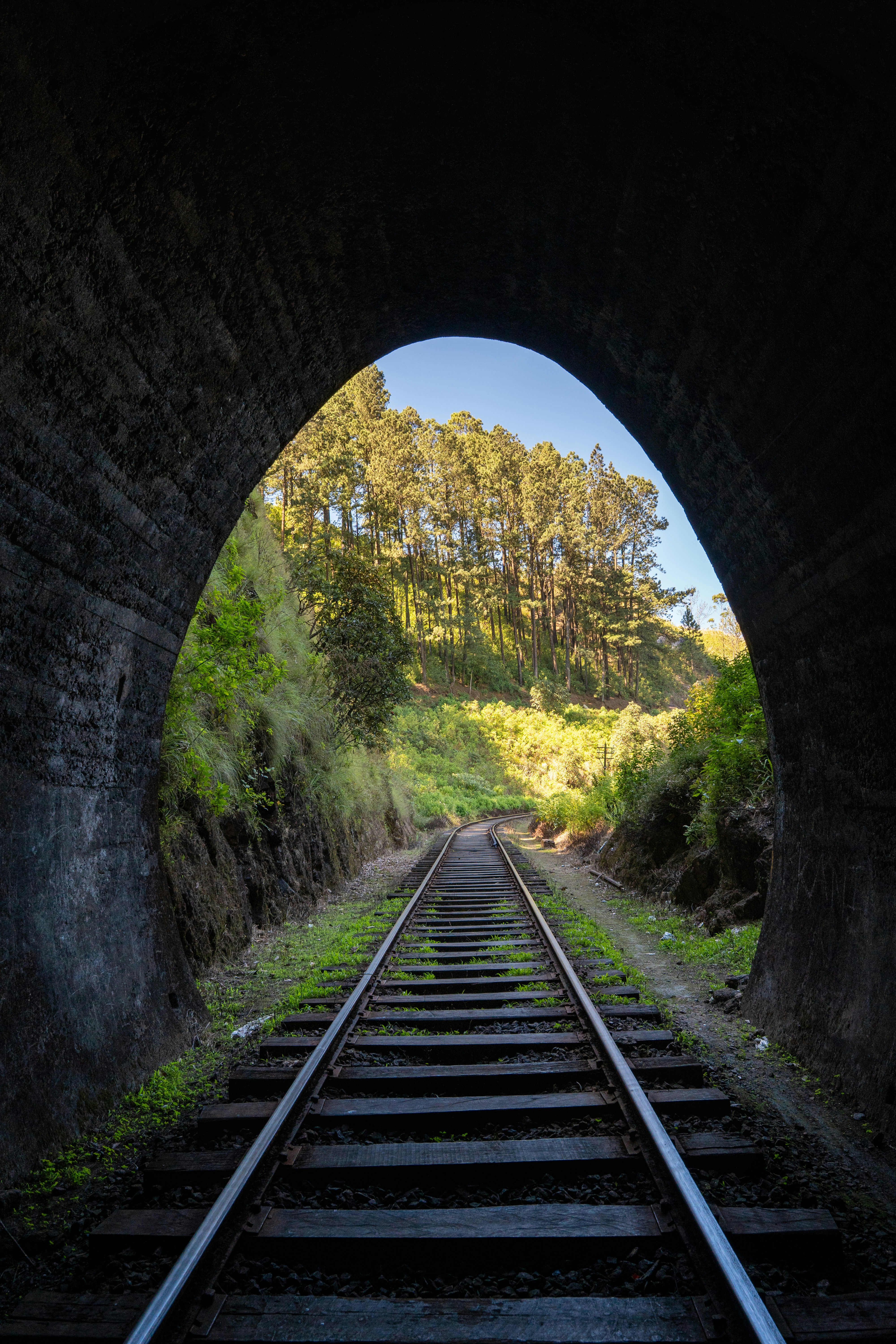 Emerging from the Tunnel: Rail Tracks into Sunlit Forest