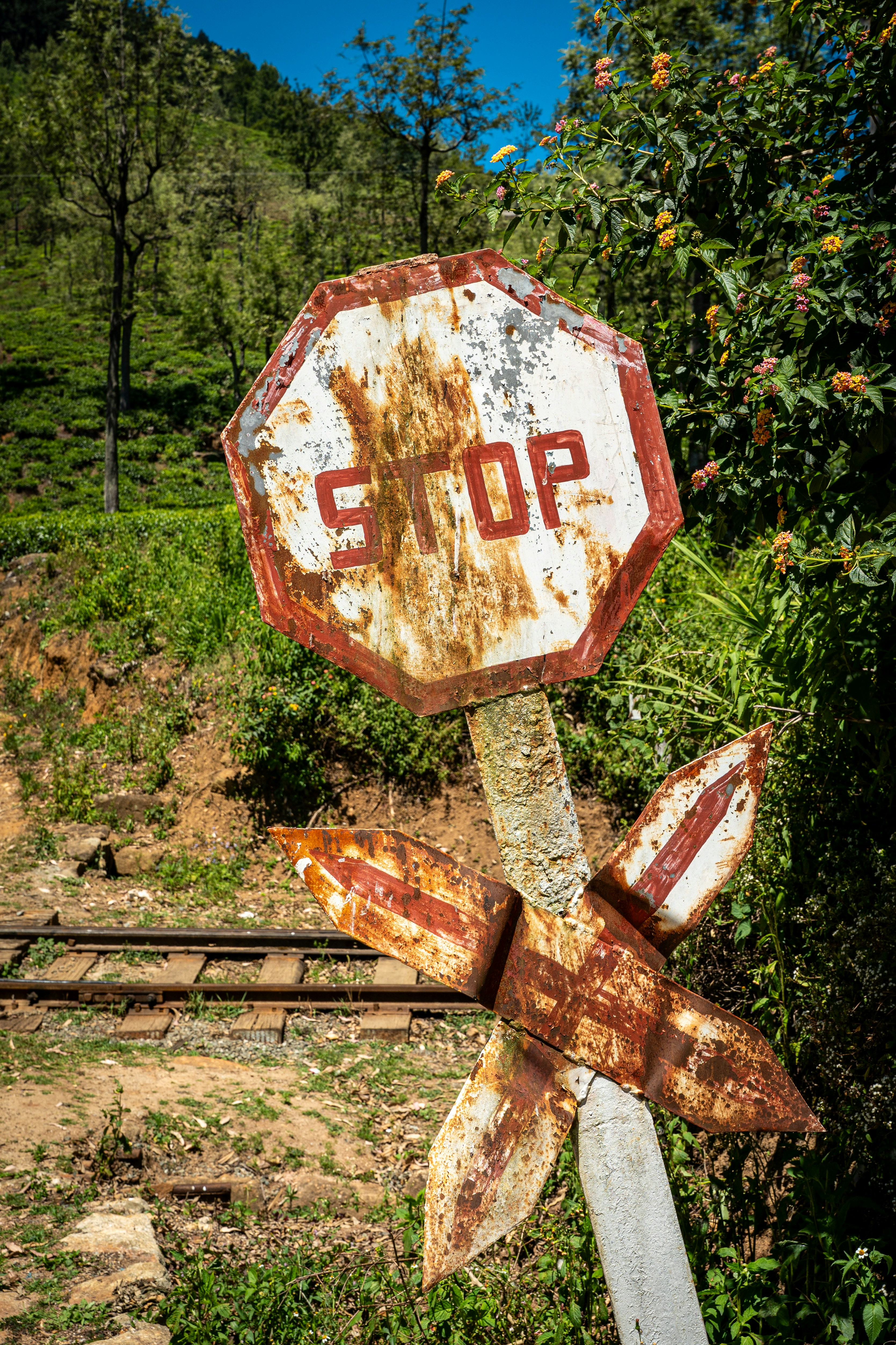 Rusted Stop Sign Amid Overgrown Rails
