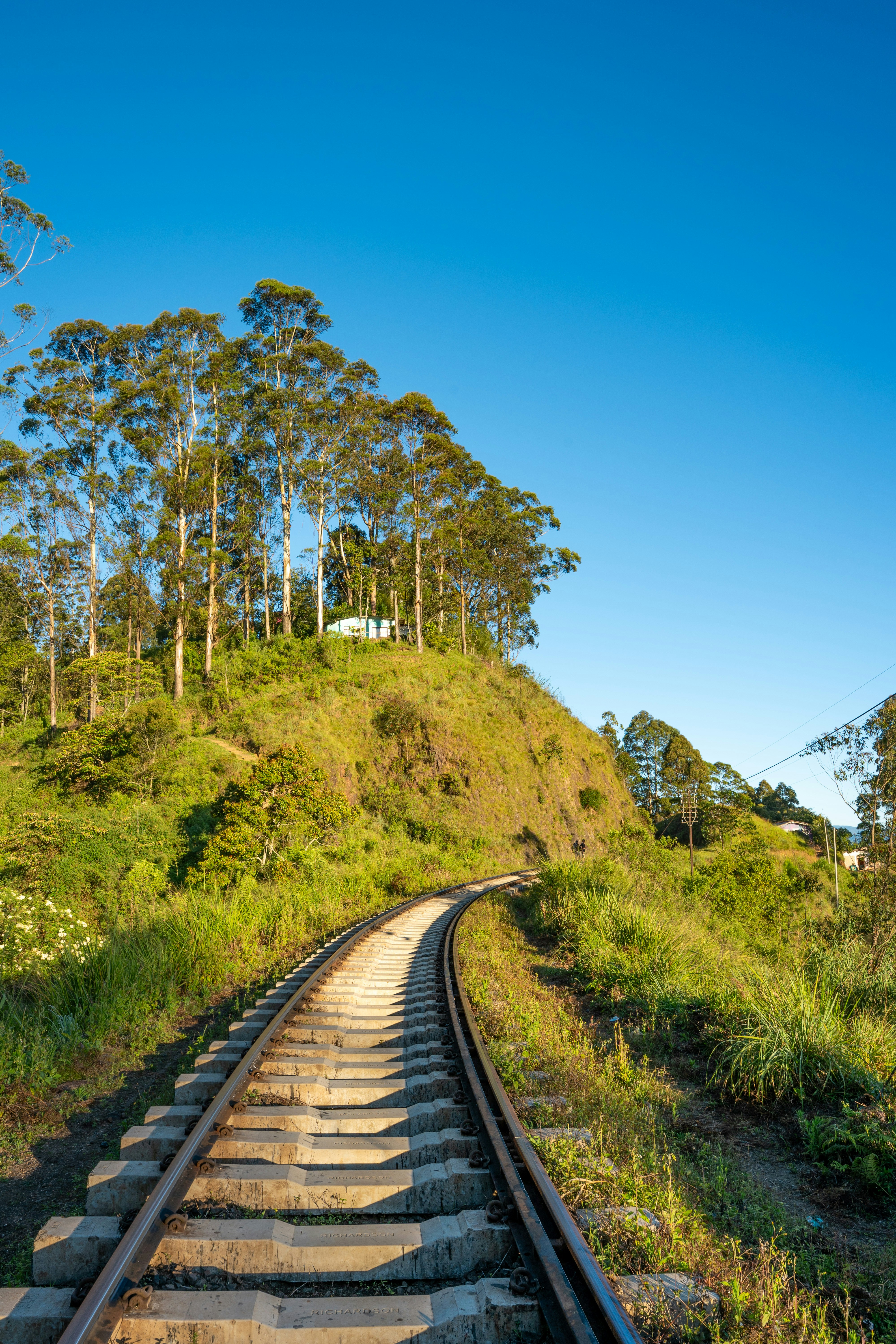 Rails through the sunlit hillside: a winding track into the blue horizon