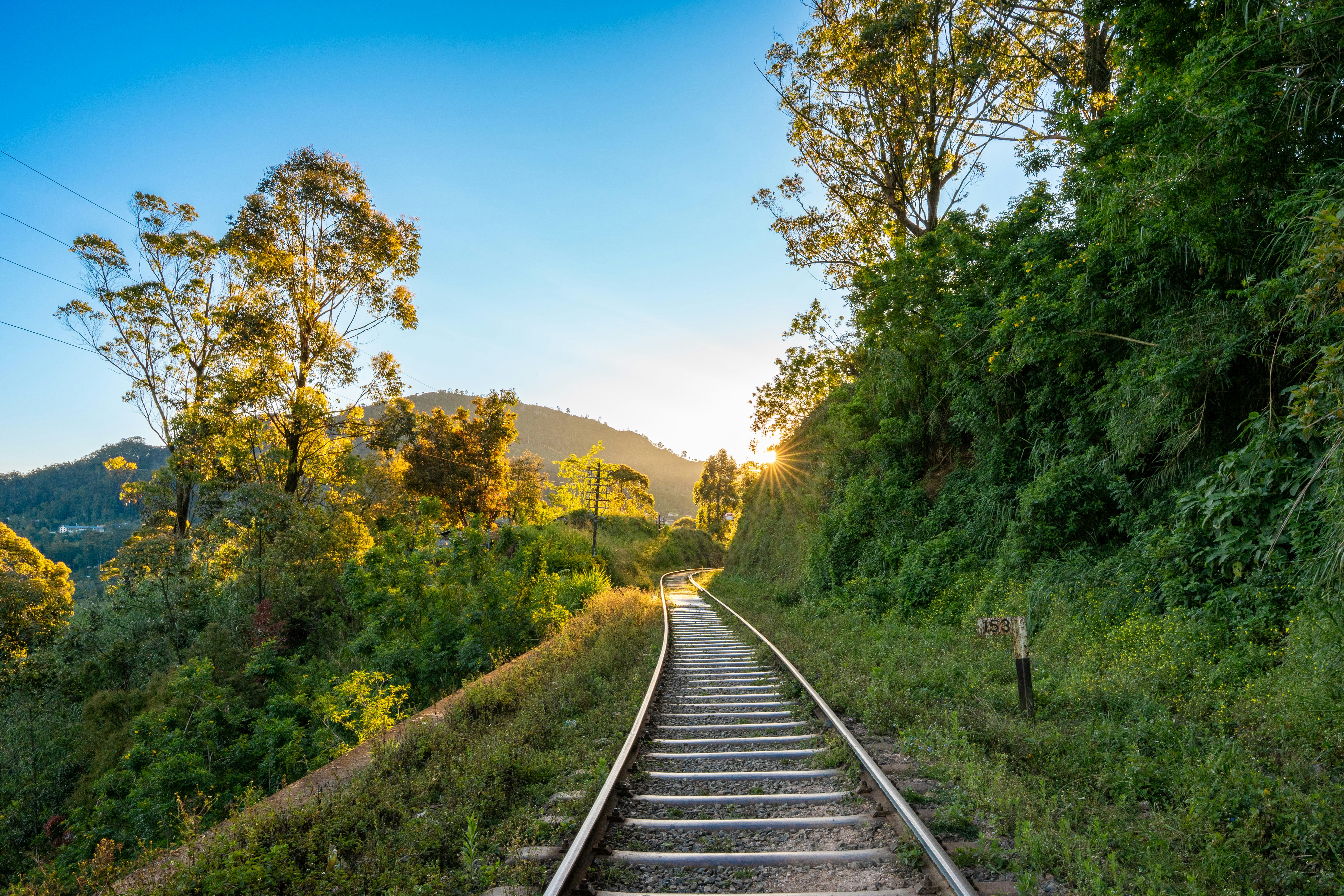 Sunlit Rail Through a Verdant Gorge