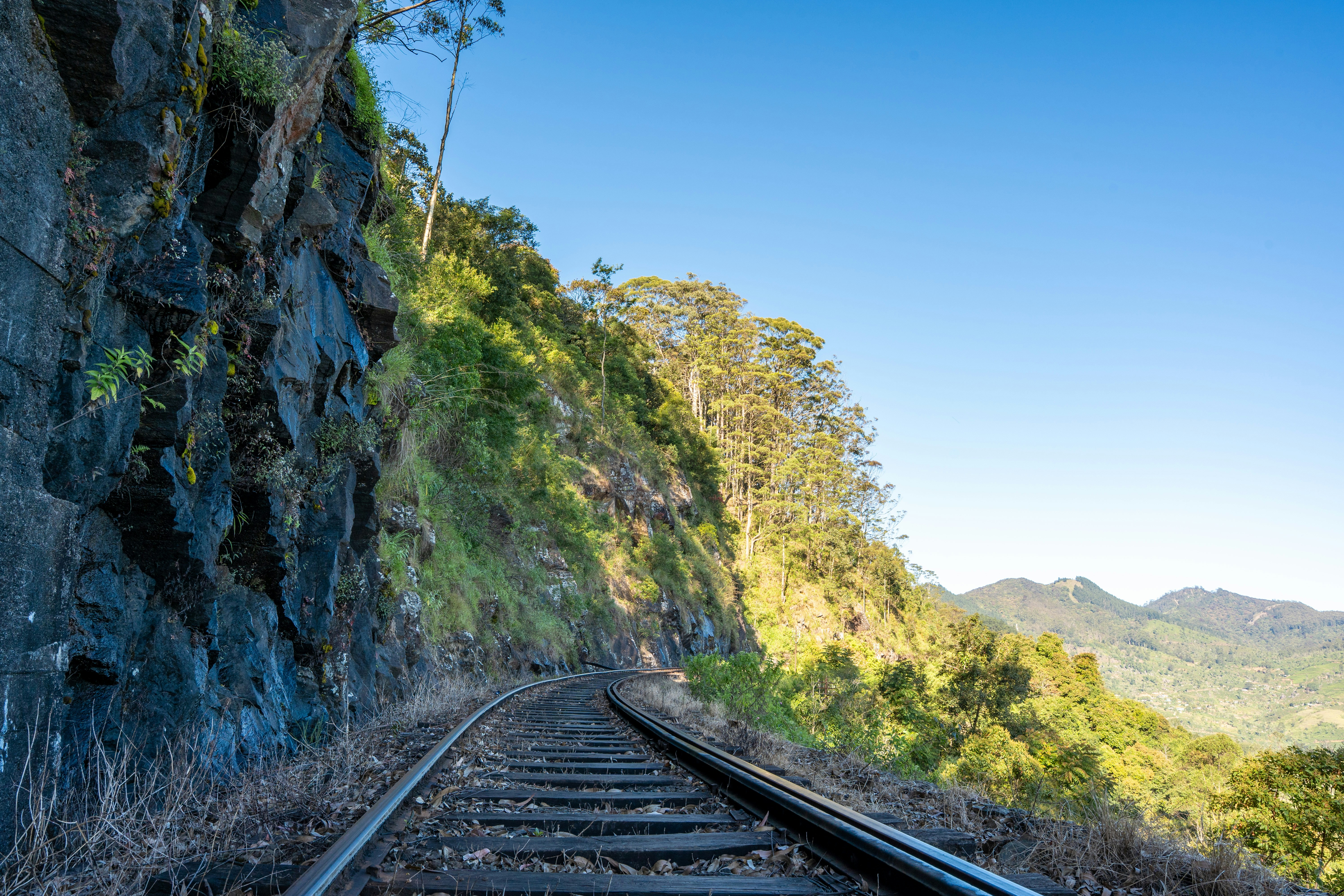 Rails into the Green Canyon