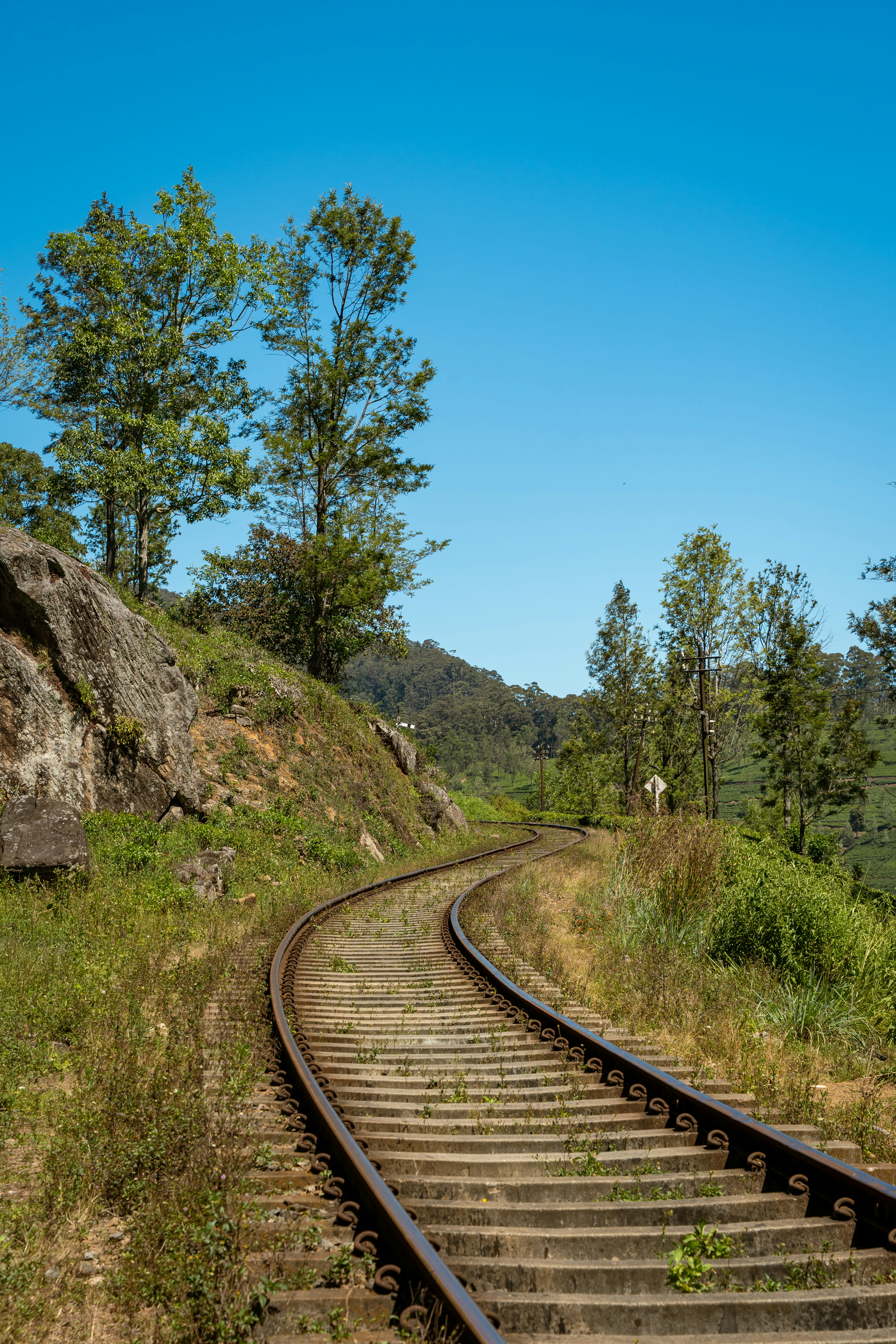 Curved Rails Through Sunlit Hills