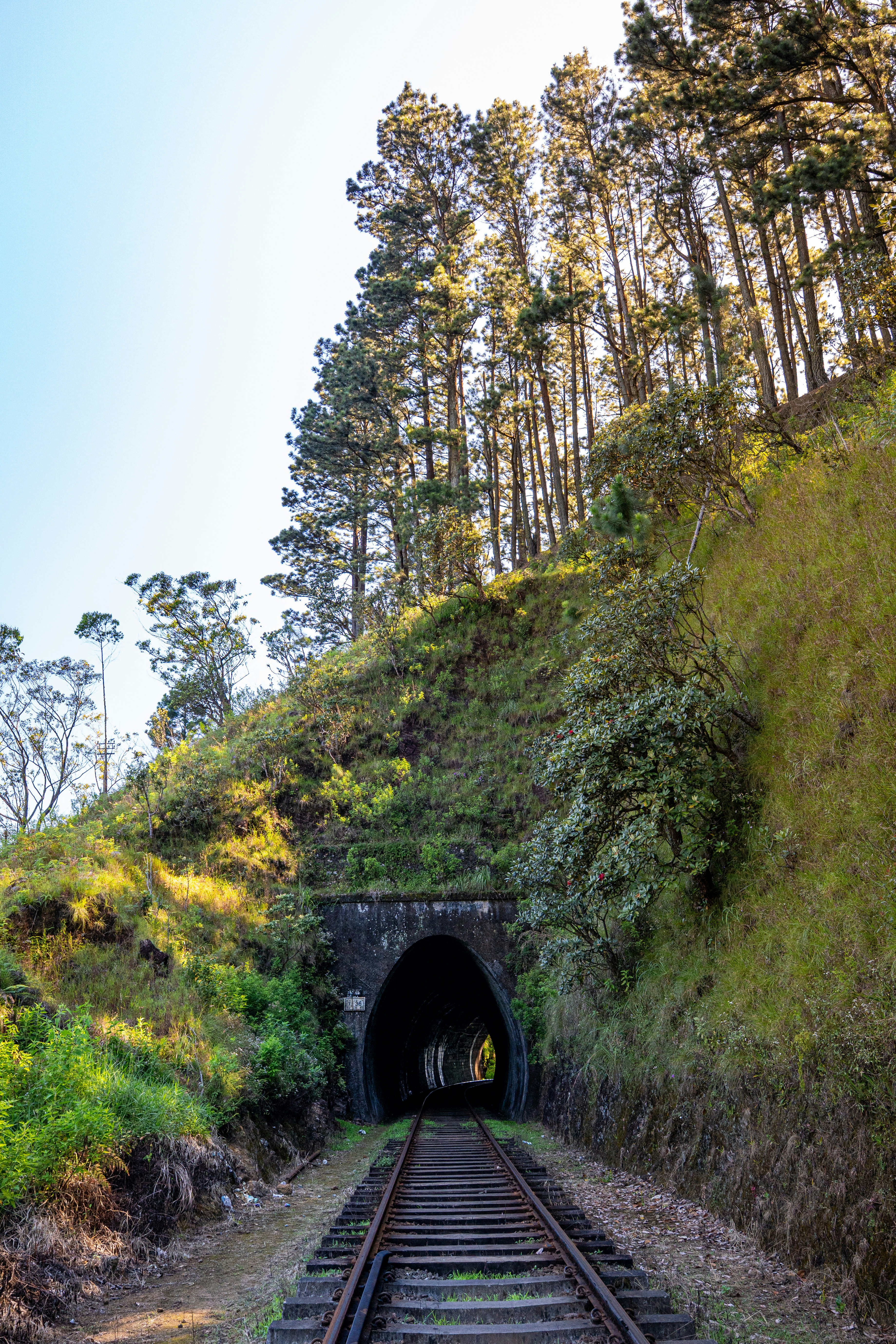 Railway into the Light: A Tunnel Framed by Carved Hills and Pines