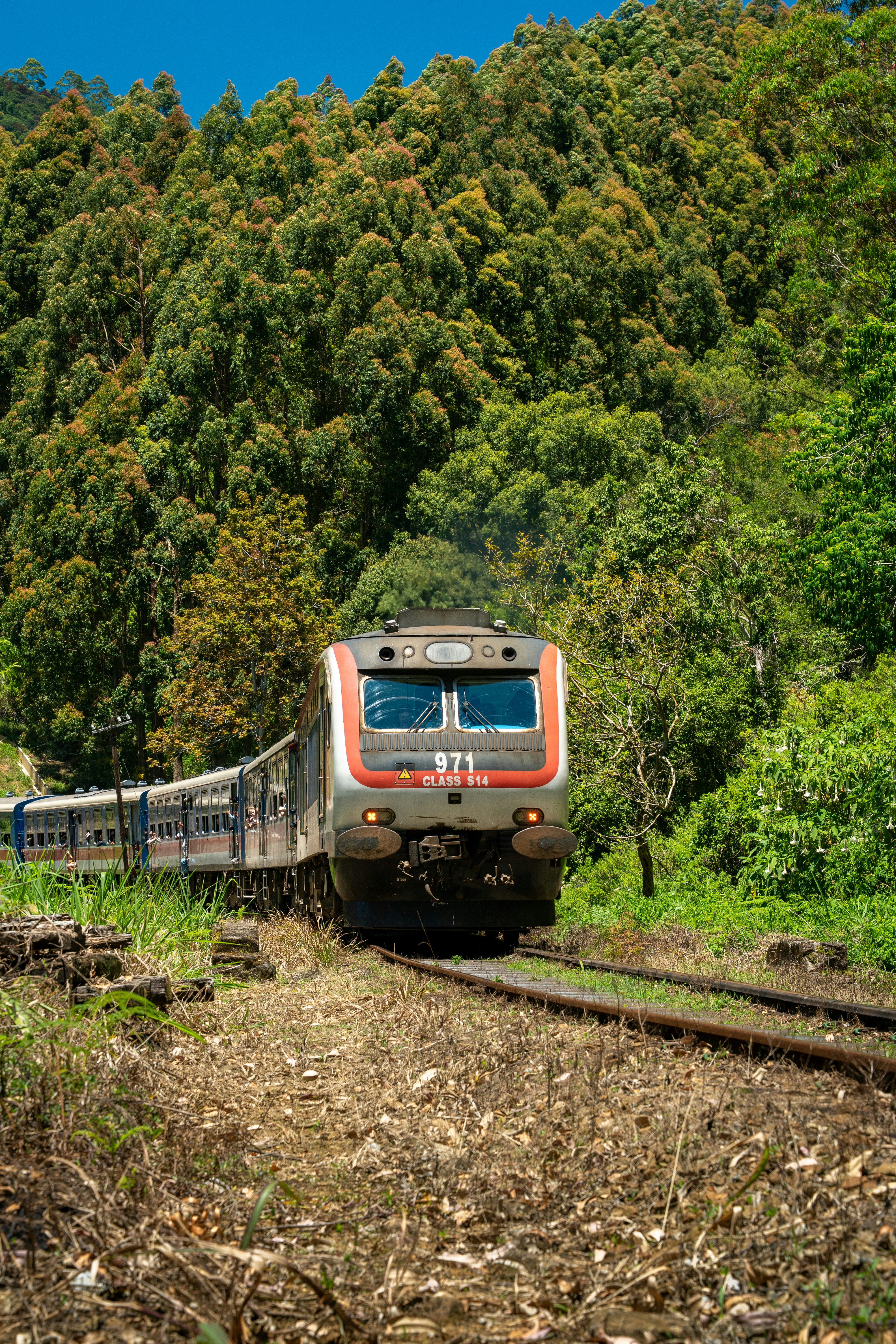 Mainline in the Green Corridor: A diesel express emerges through the forest