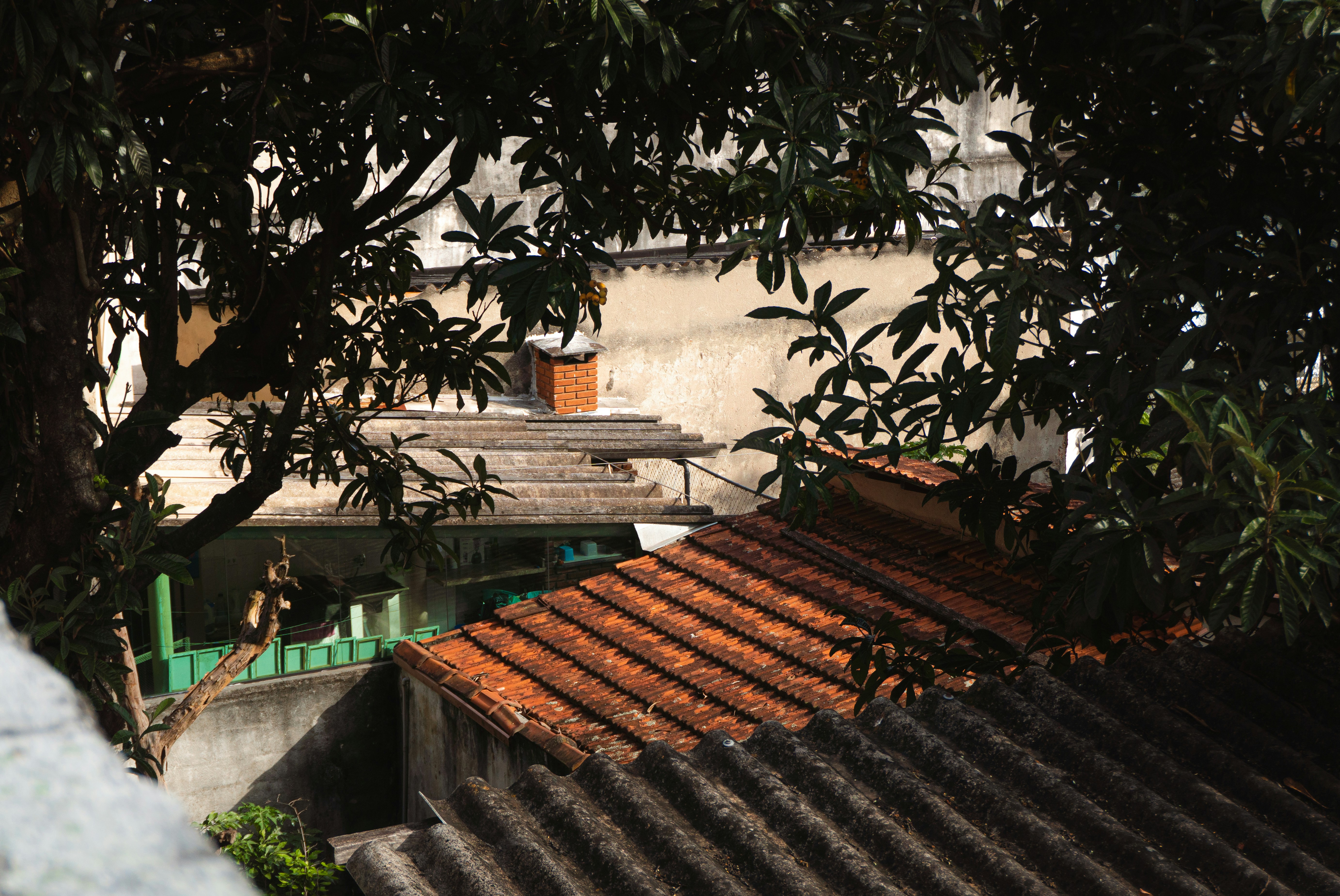 Terracotta Rooflines Framed by Orchard Shade