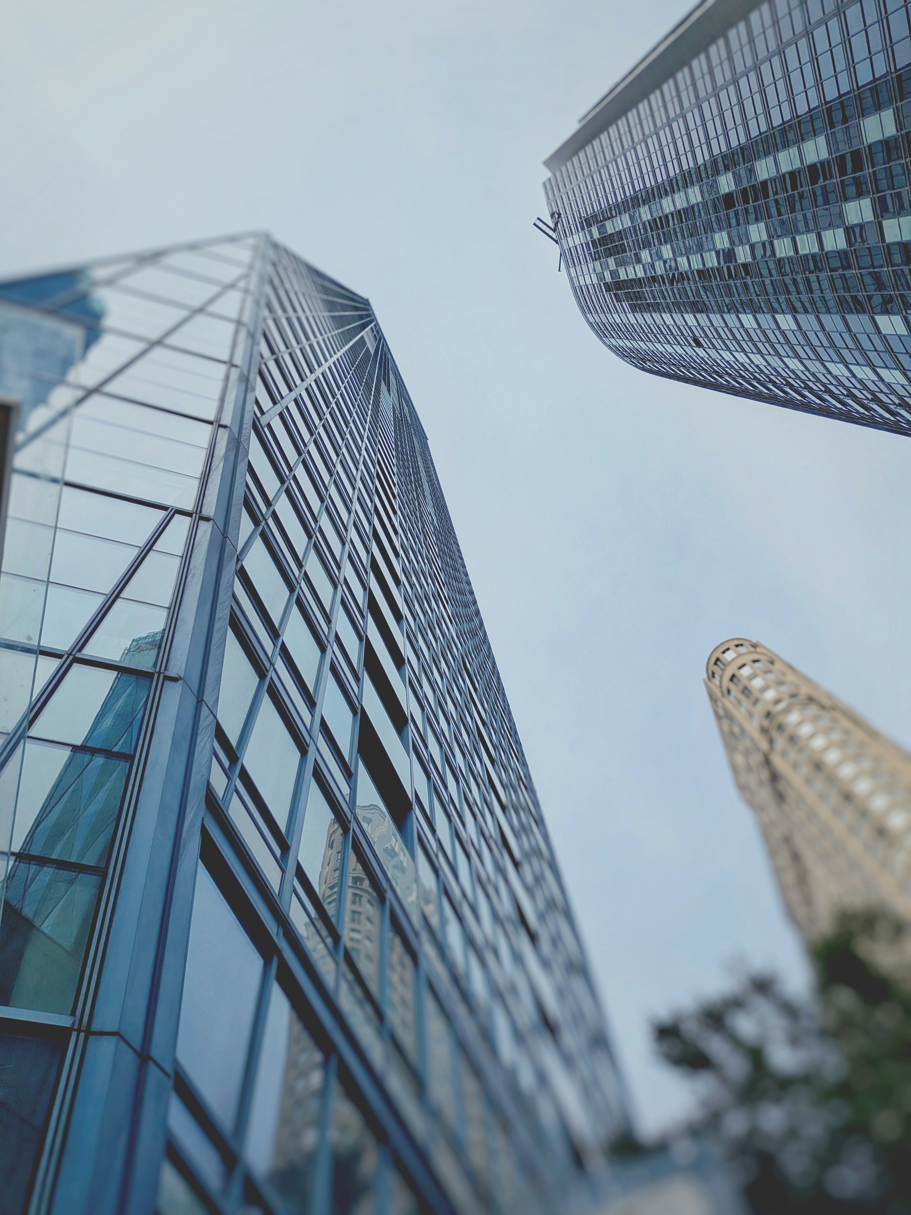 Urban Giants: A Skyward Look at Glass and Steel