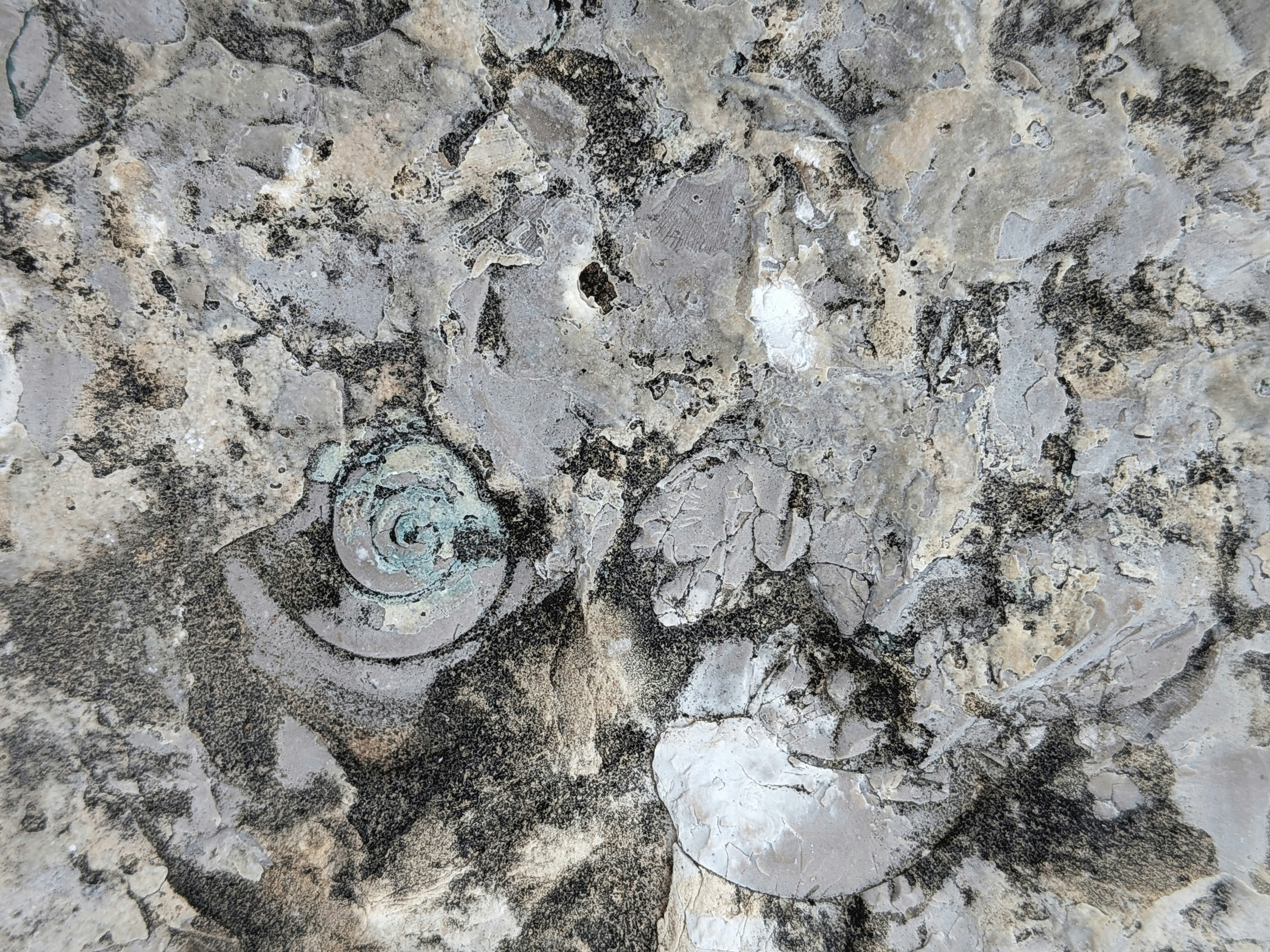 Stone Texture and Circular Metal Detail Embedded in Rough Pavement