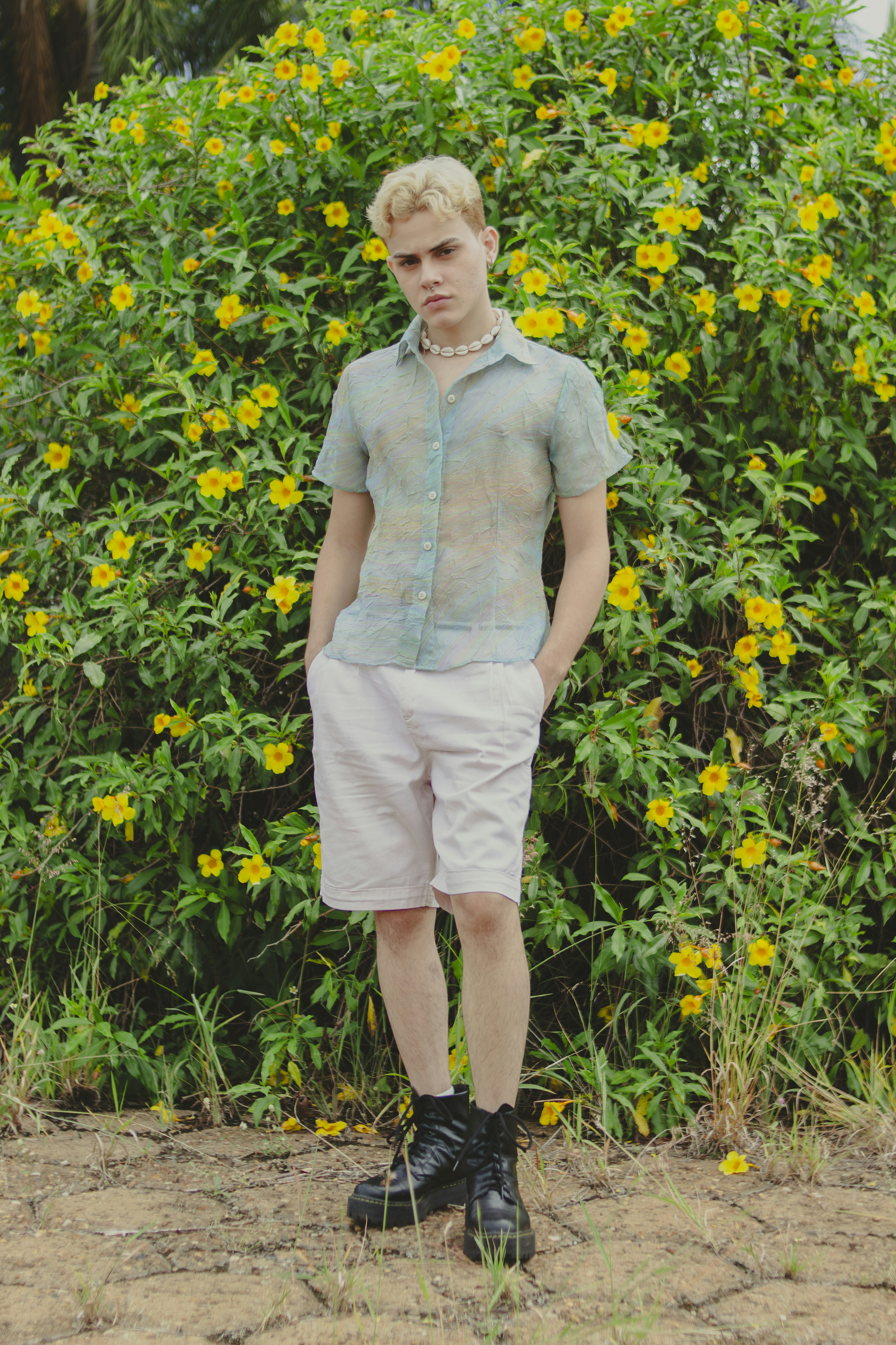 Sunlit Rebel in a Sea of Yellow Blossoms