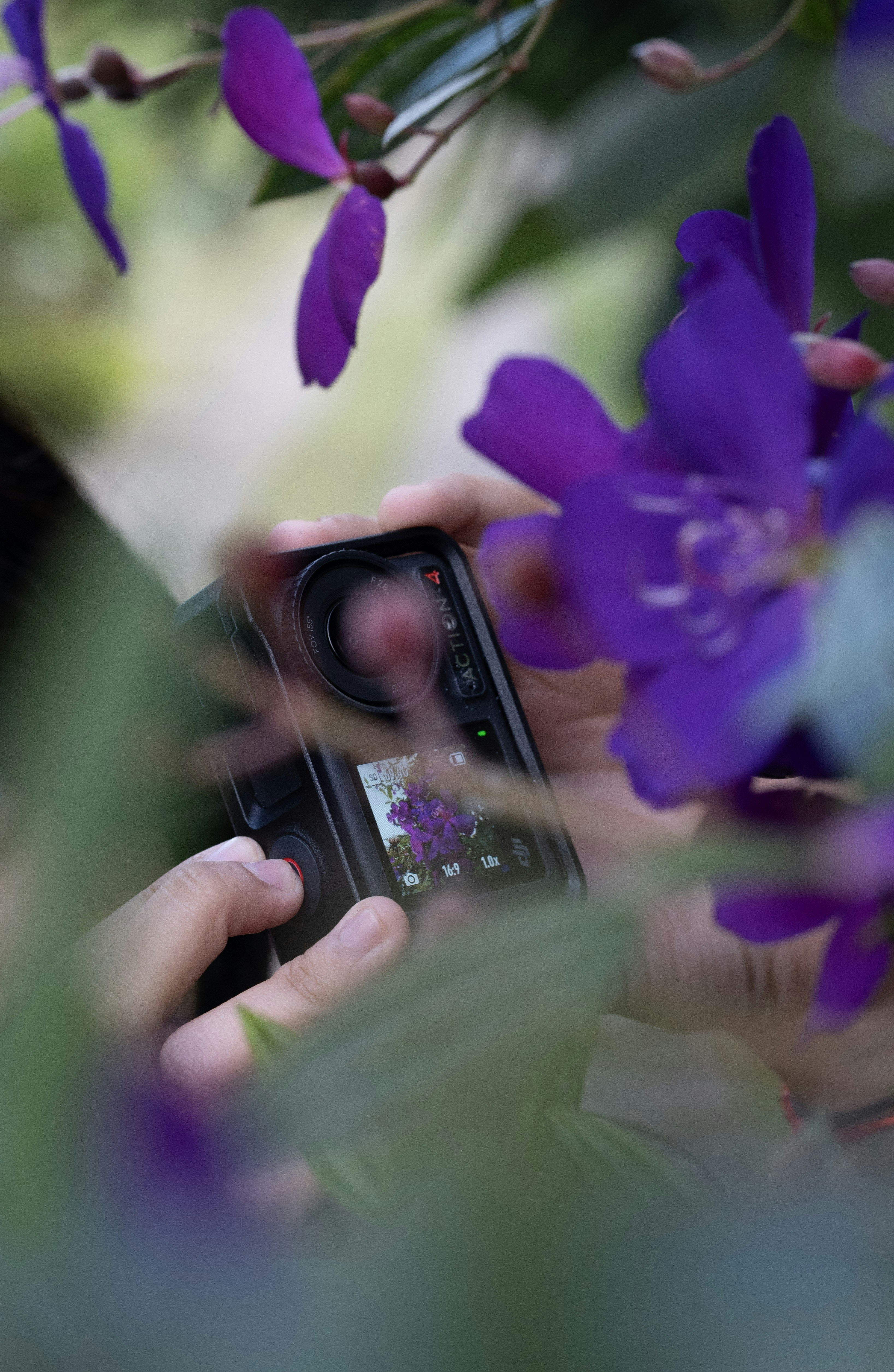 Light, Glass, and Garden: A Closer Look at a Hands-on Photo Moment
