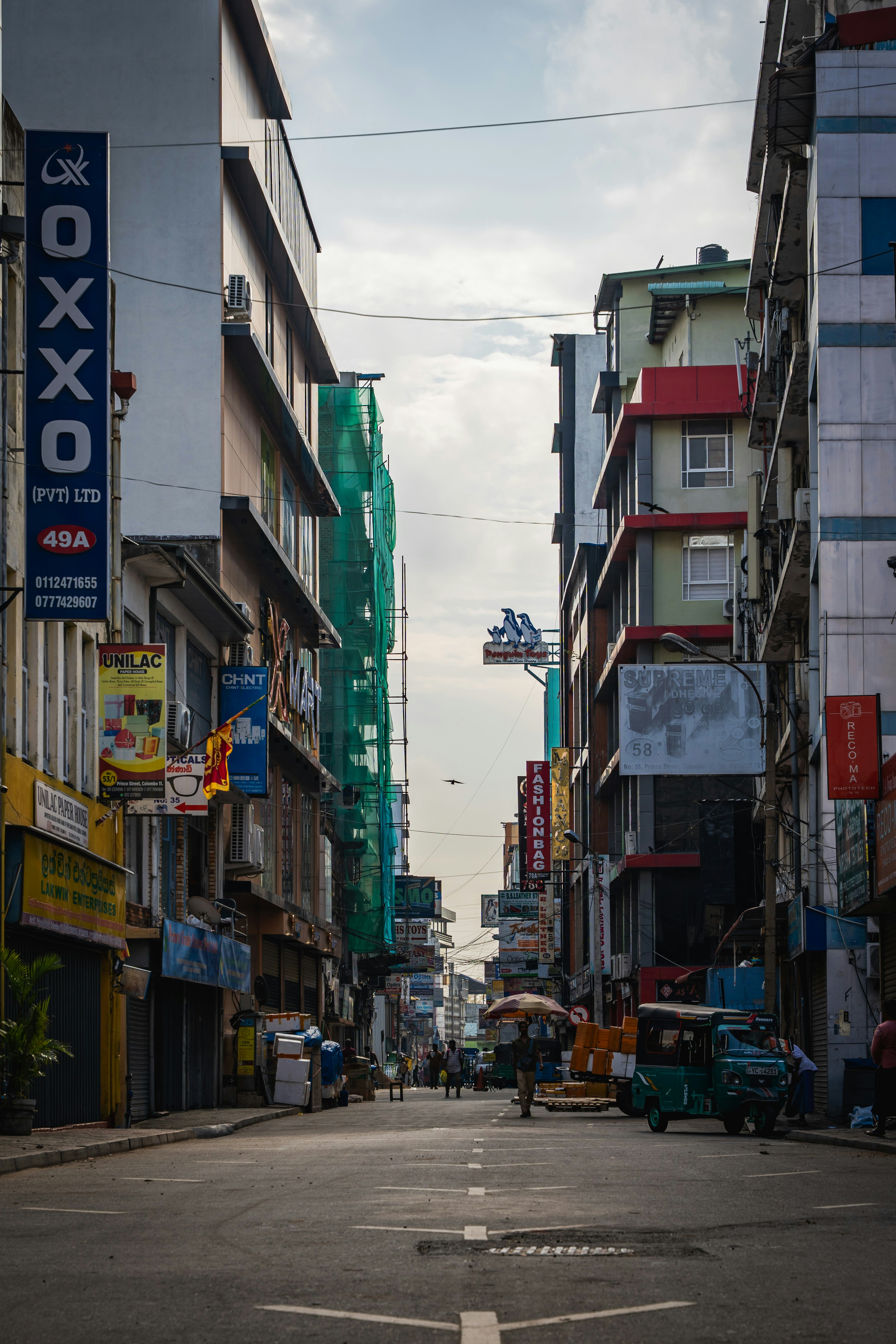 A Quiet City Corridor: Midday Quiet Under Dense Urban Canopy