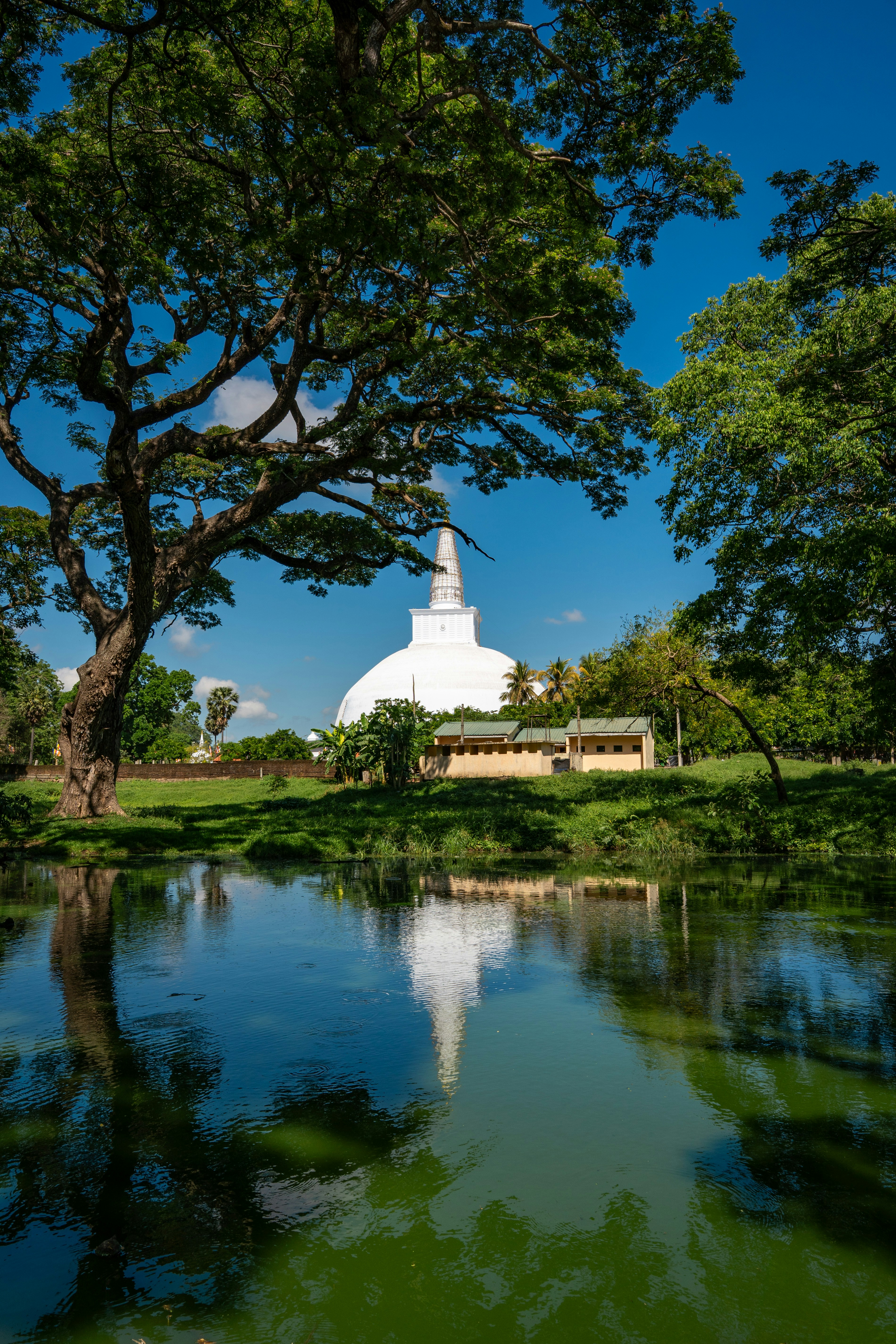 White Stupa Rising Above Emerald Fields and Mirror Water