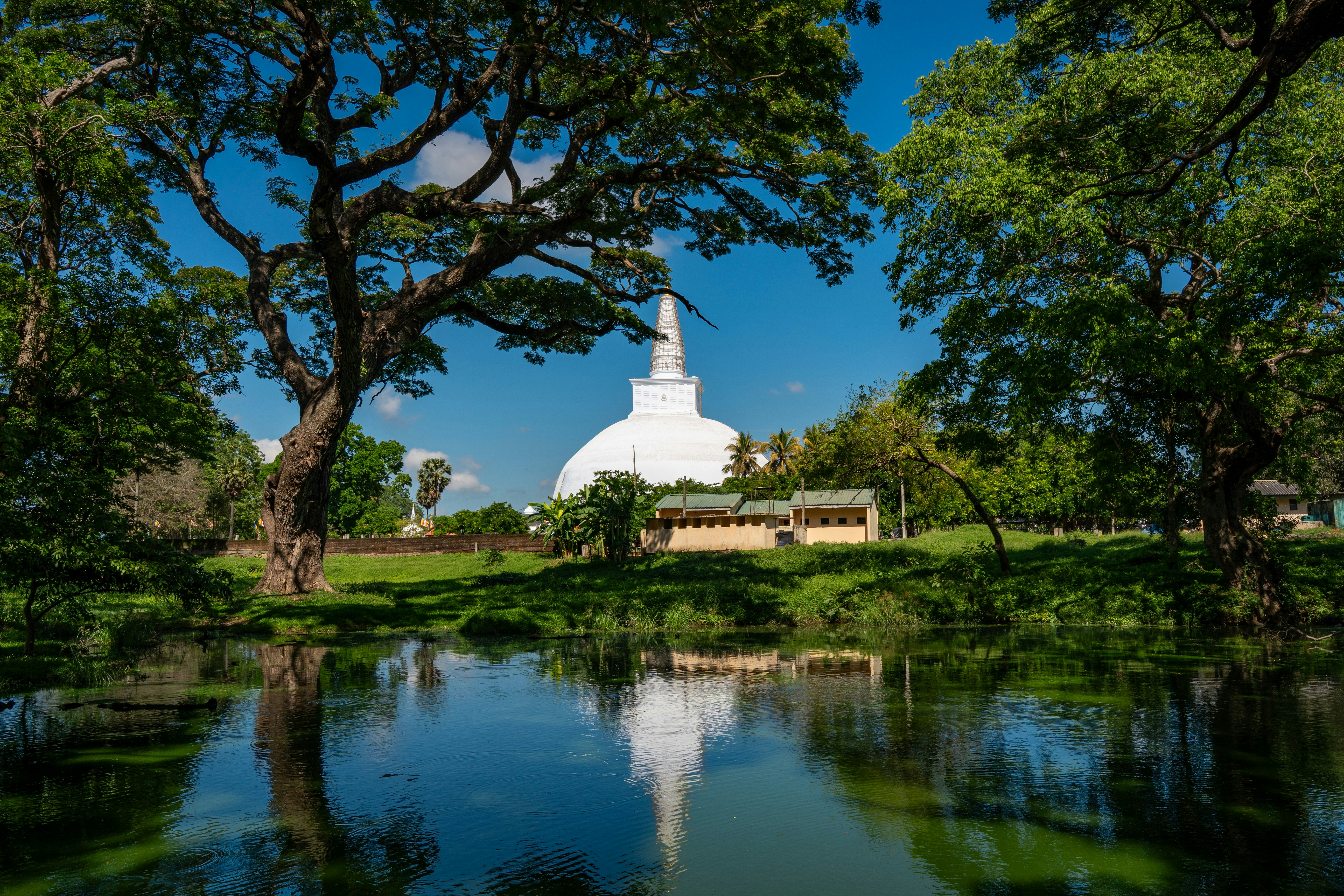 White Stupa Rising Over the Lawn and Lake