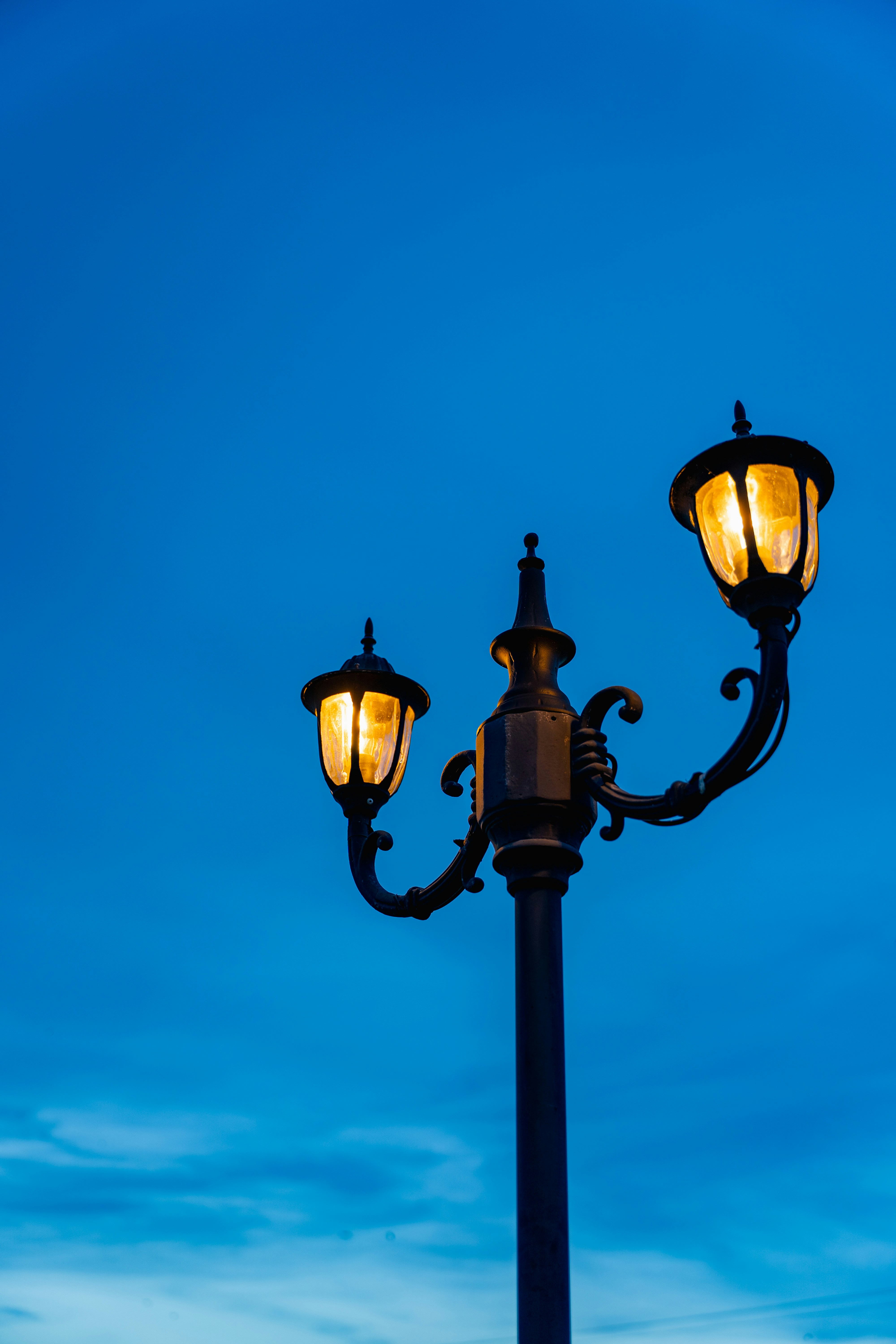 Warm Lanterns Against a Velvet Sky