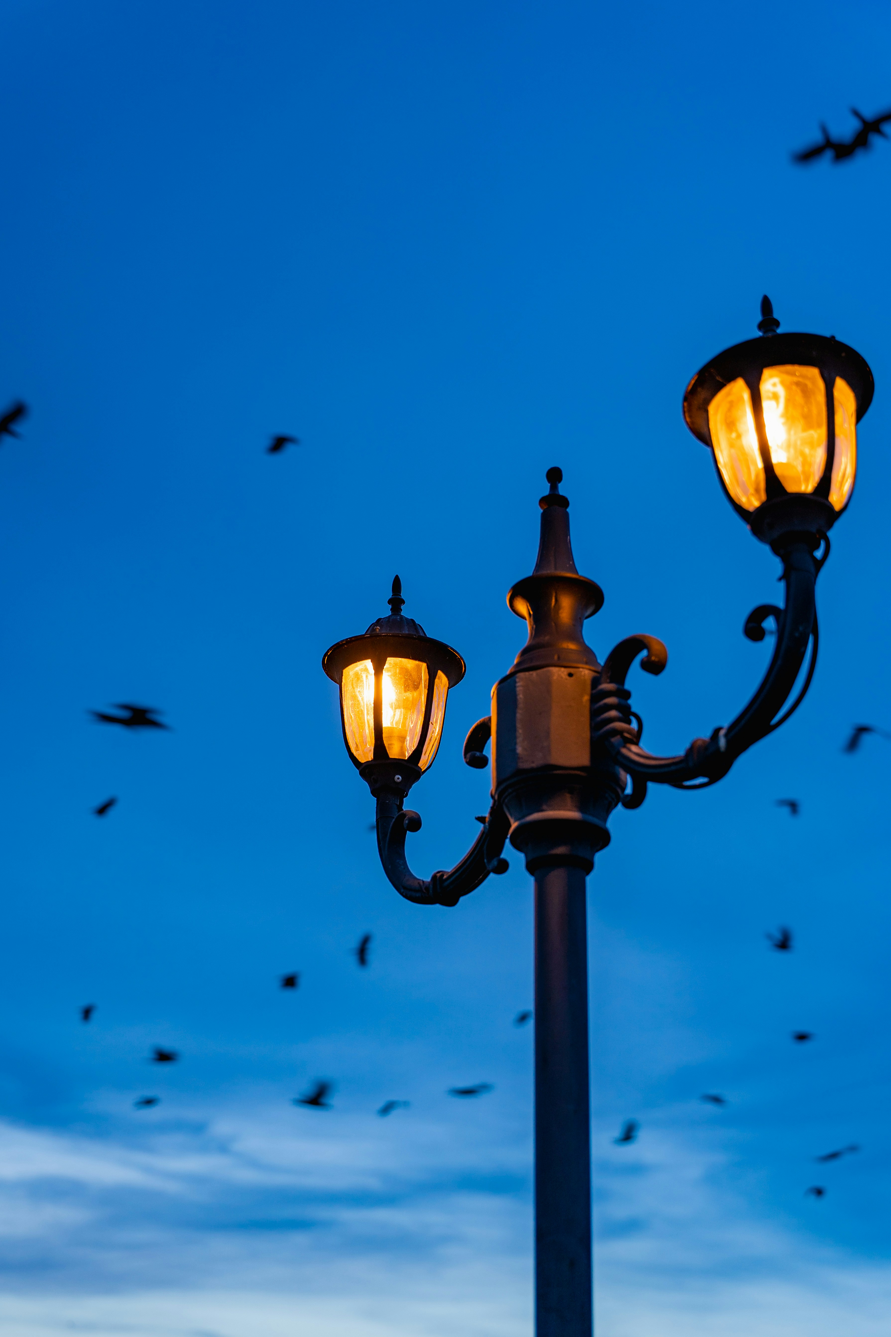 Glowing Orbs Against a Sky of Distant Birds