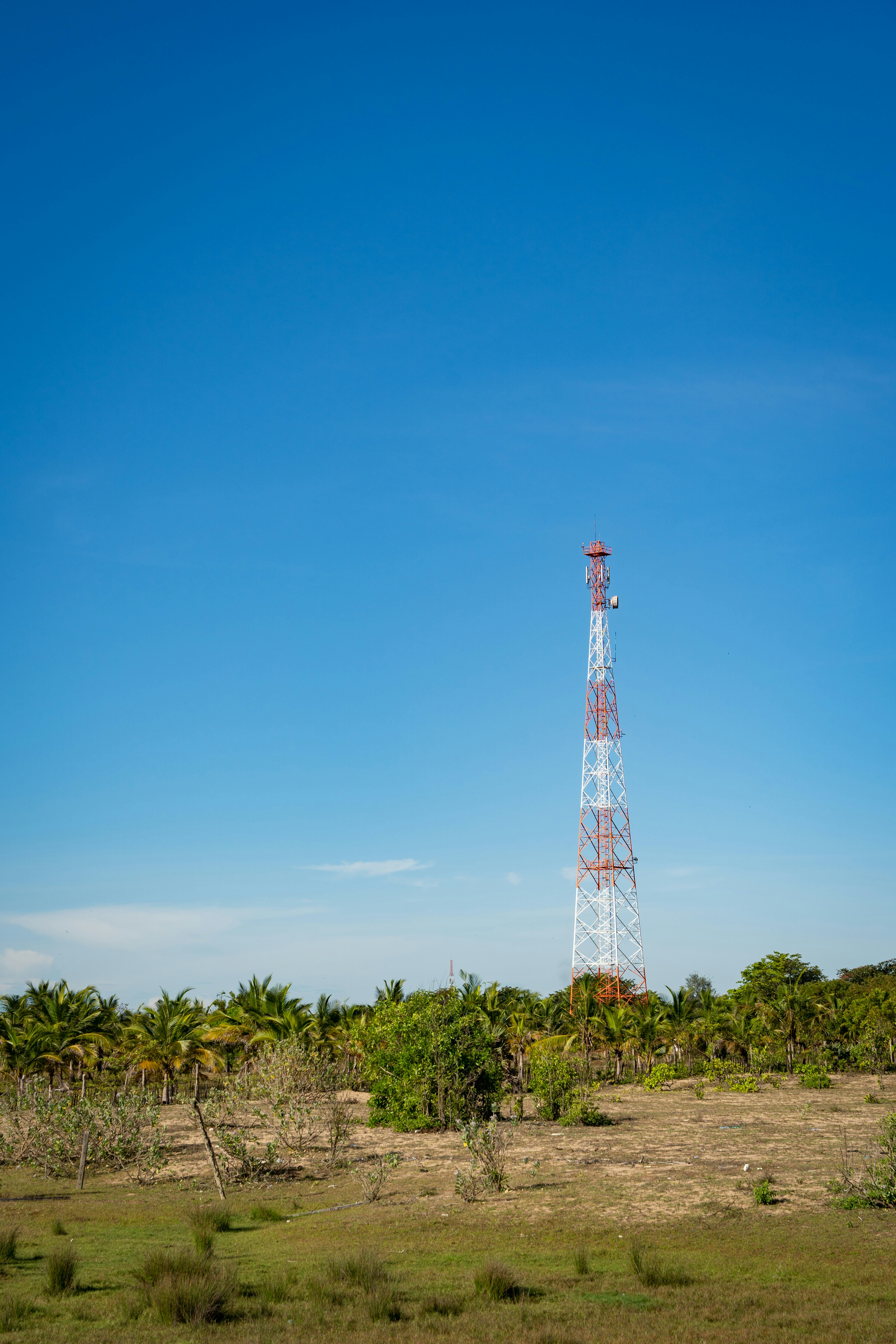 Transmission Tower Rising Over Arid Coastal Plain