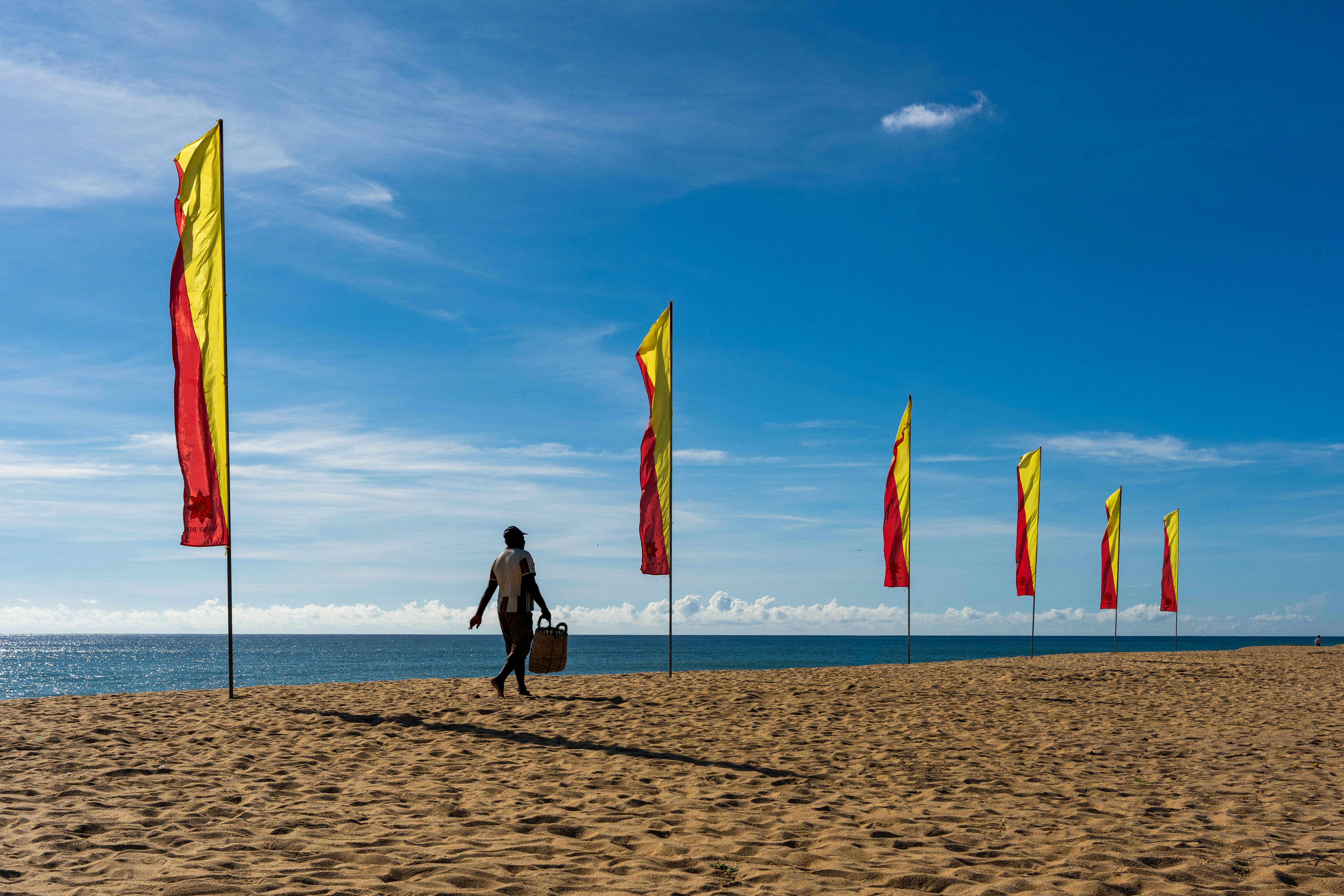 Traveler at the Horizon: Flags Marking the Quiet Beach Path