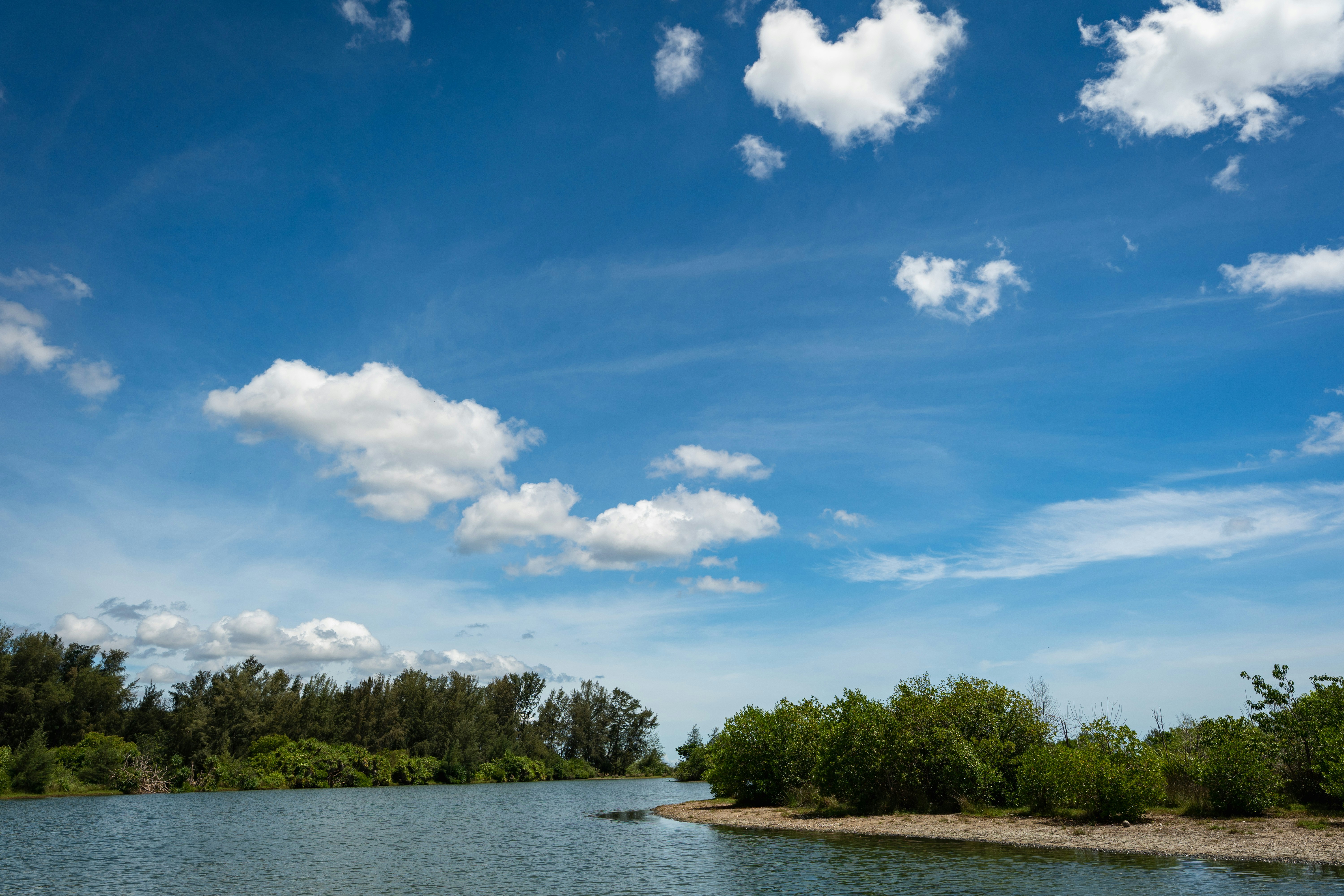 Shoreline Whispers Under a Broad Blue Sky