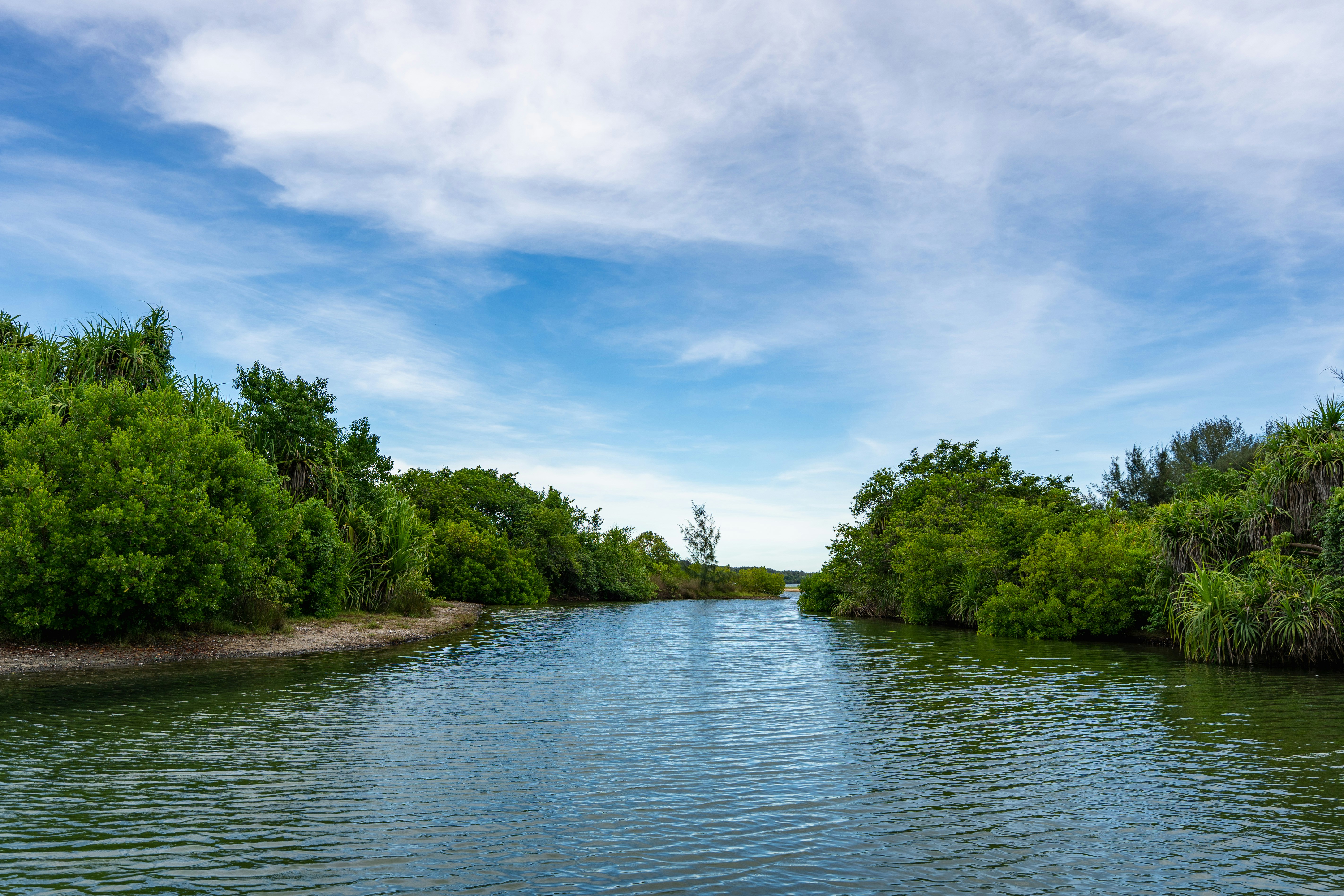 Midday River Corridor: Green Banks Framing a Quiet Wake