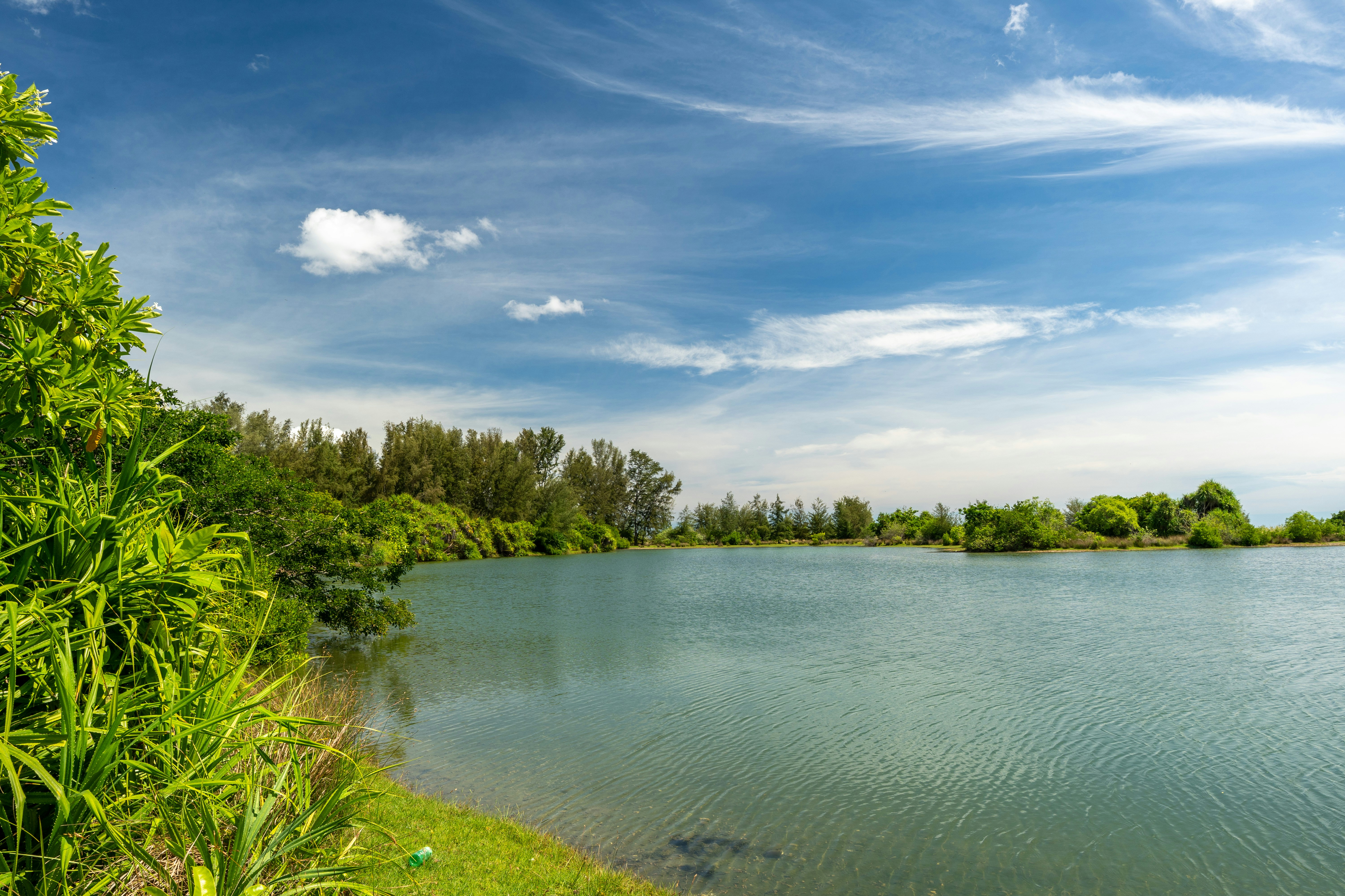 Lakeside Arbor: Calm Waters Under Wide Blue Skies