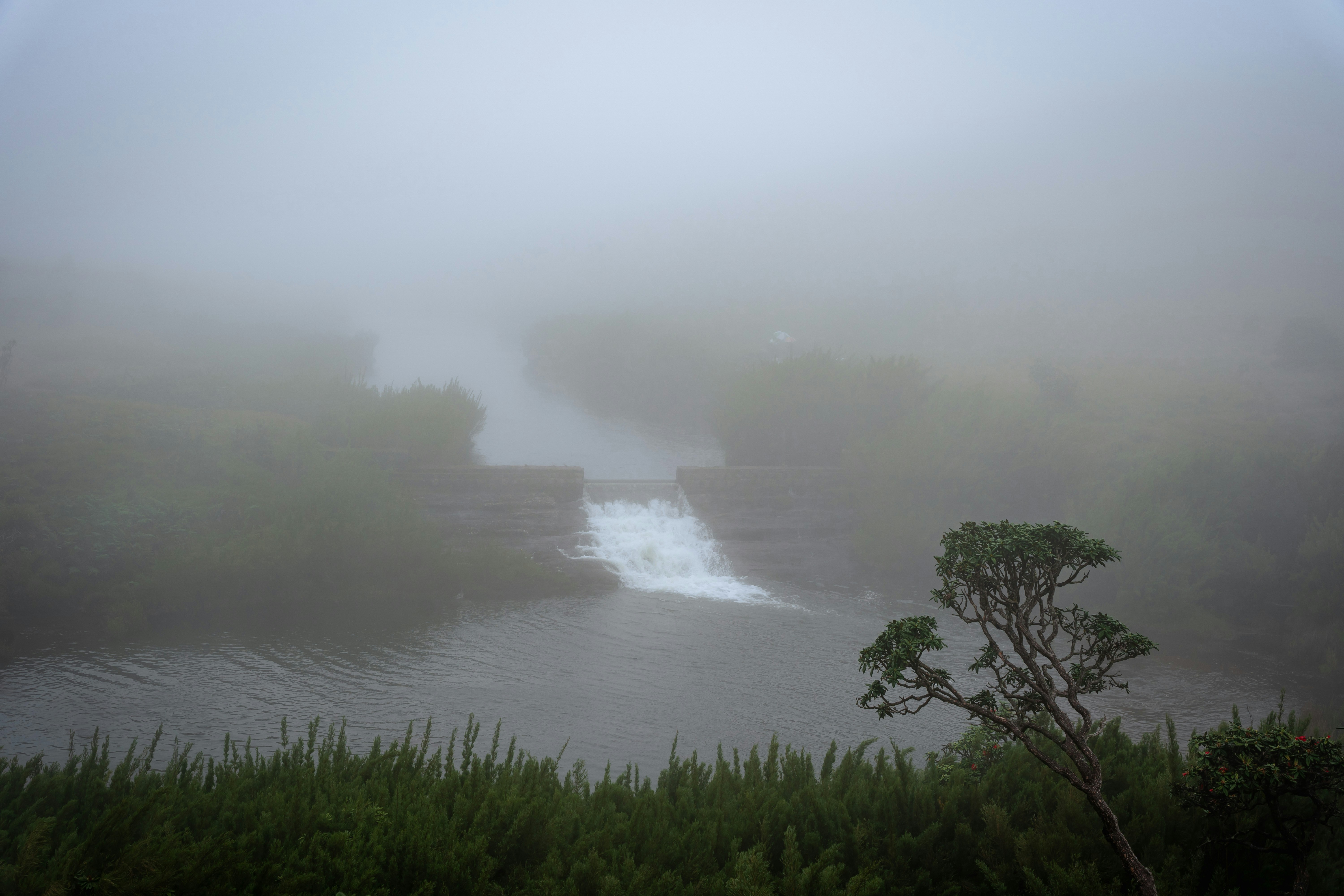 Whispering Falls in a Shrouded Fjord