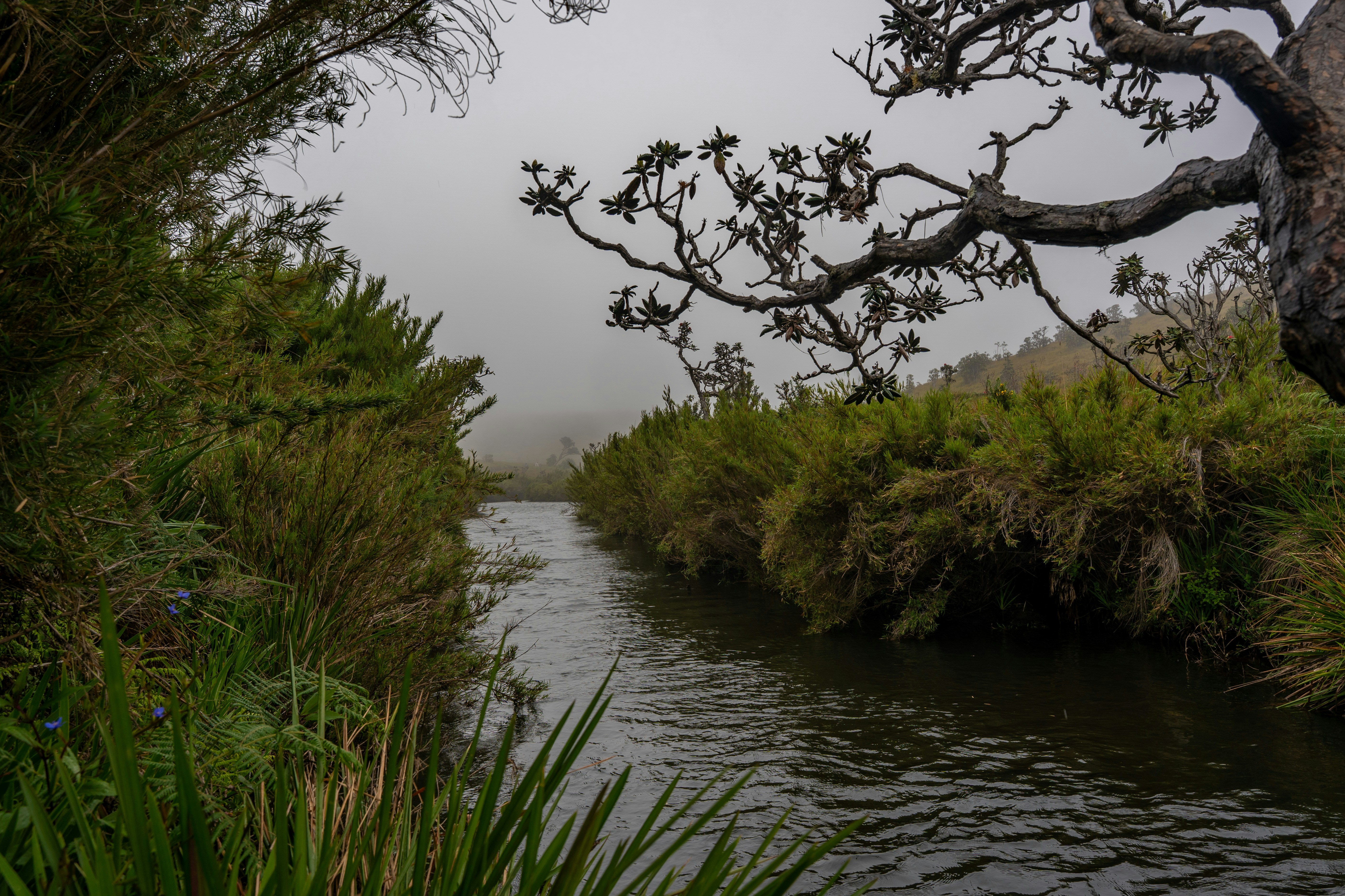 Mist over a Quiet River Canyon