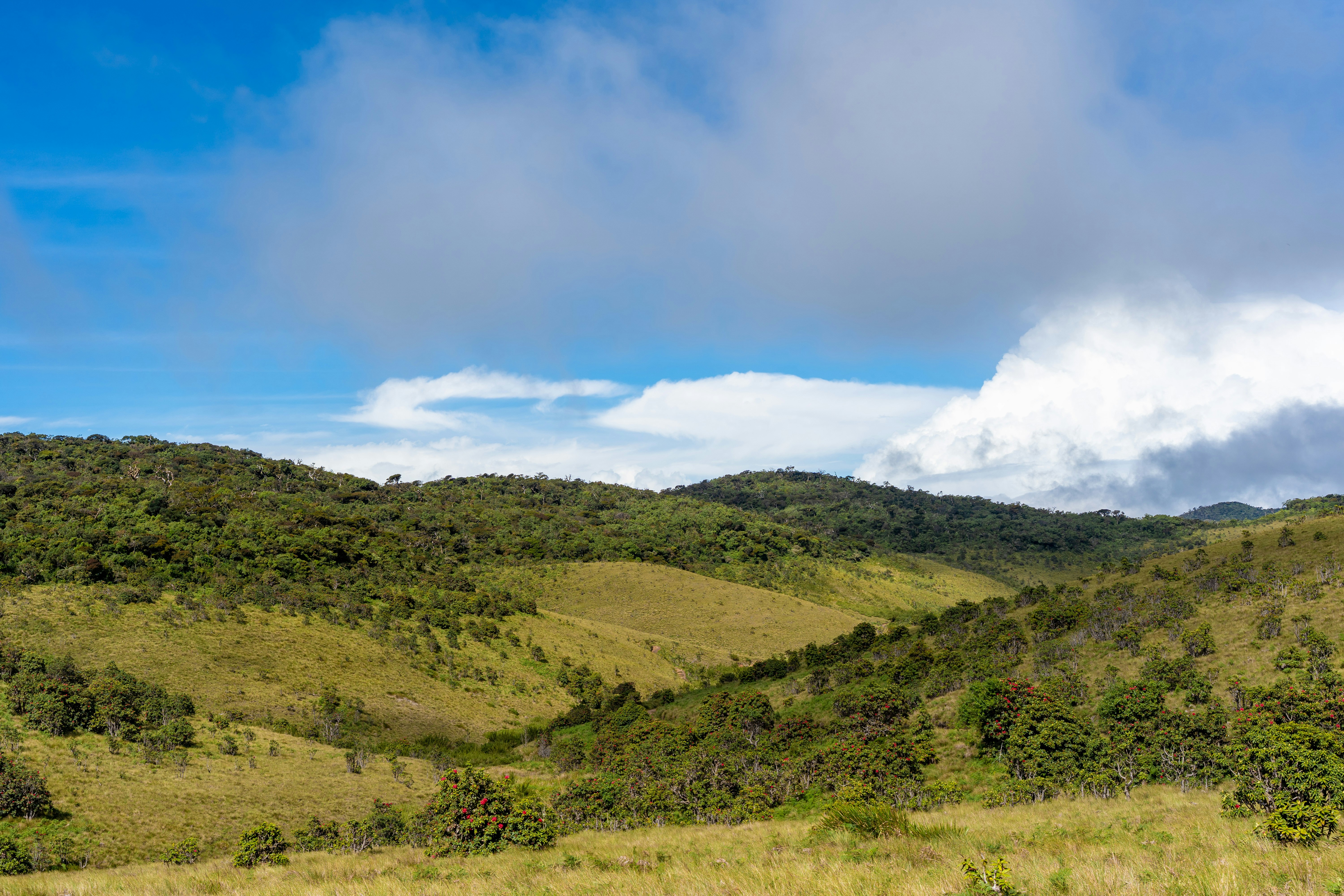 Horizon of gentle hills under a bright sky