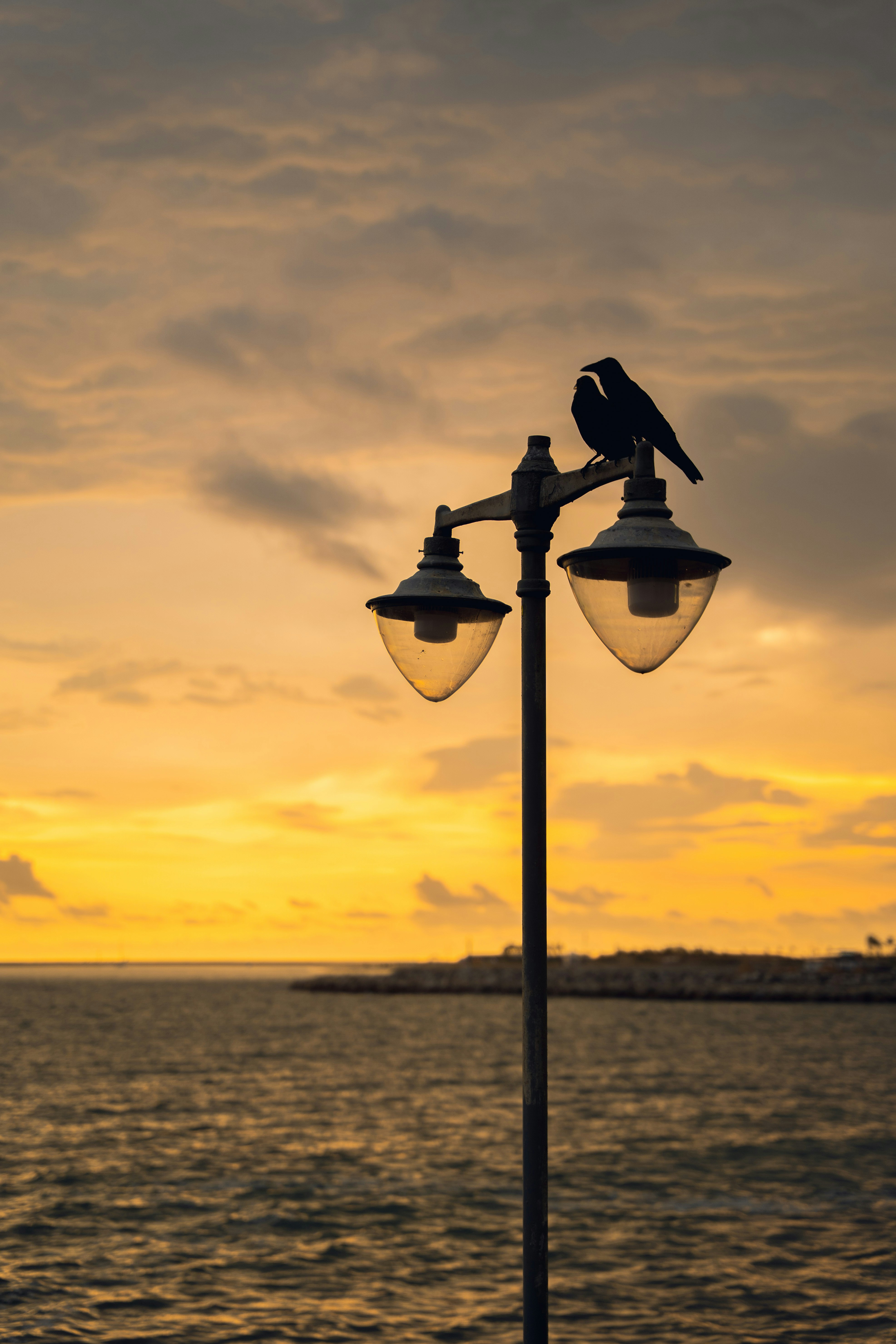 Silhouette on the Pier Post: A Crow Perched atop a vintage lamp at sunset