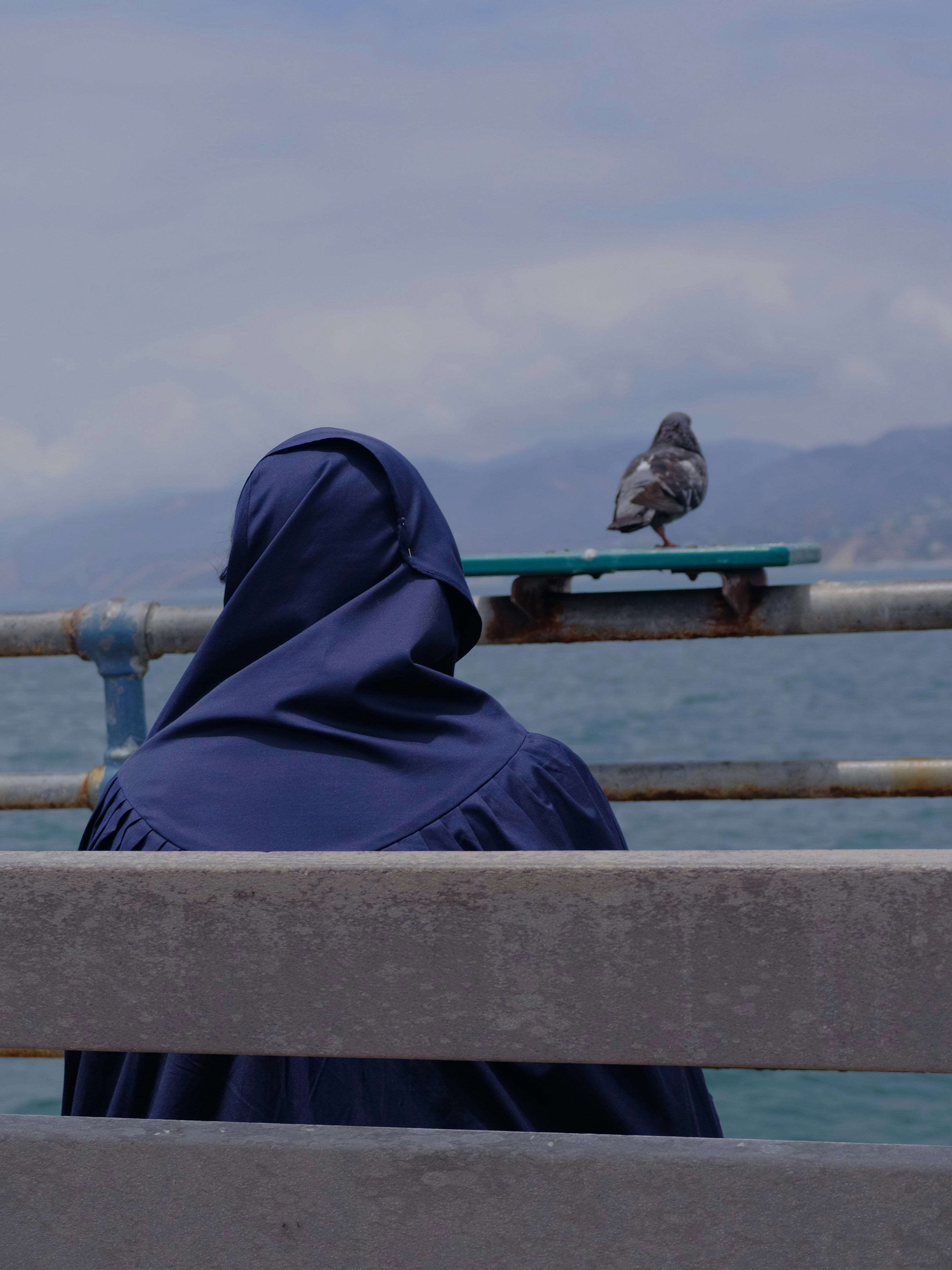 Blue Hooded Figure Facing the Sea with a Seabird Observer