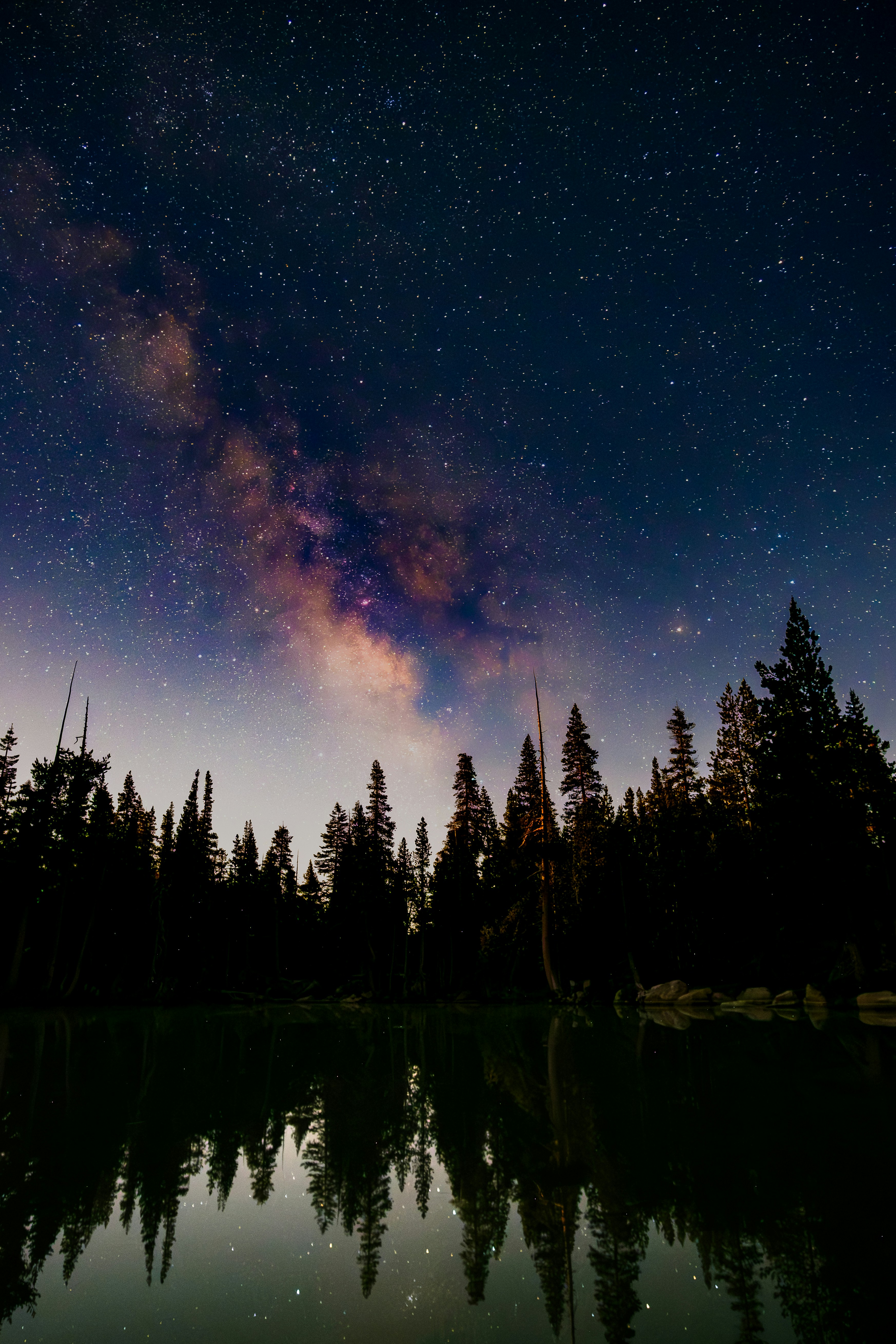 Milky Way Over Silent Pines