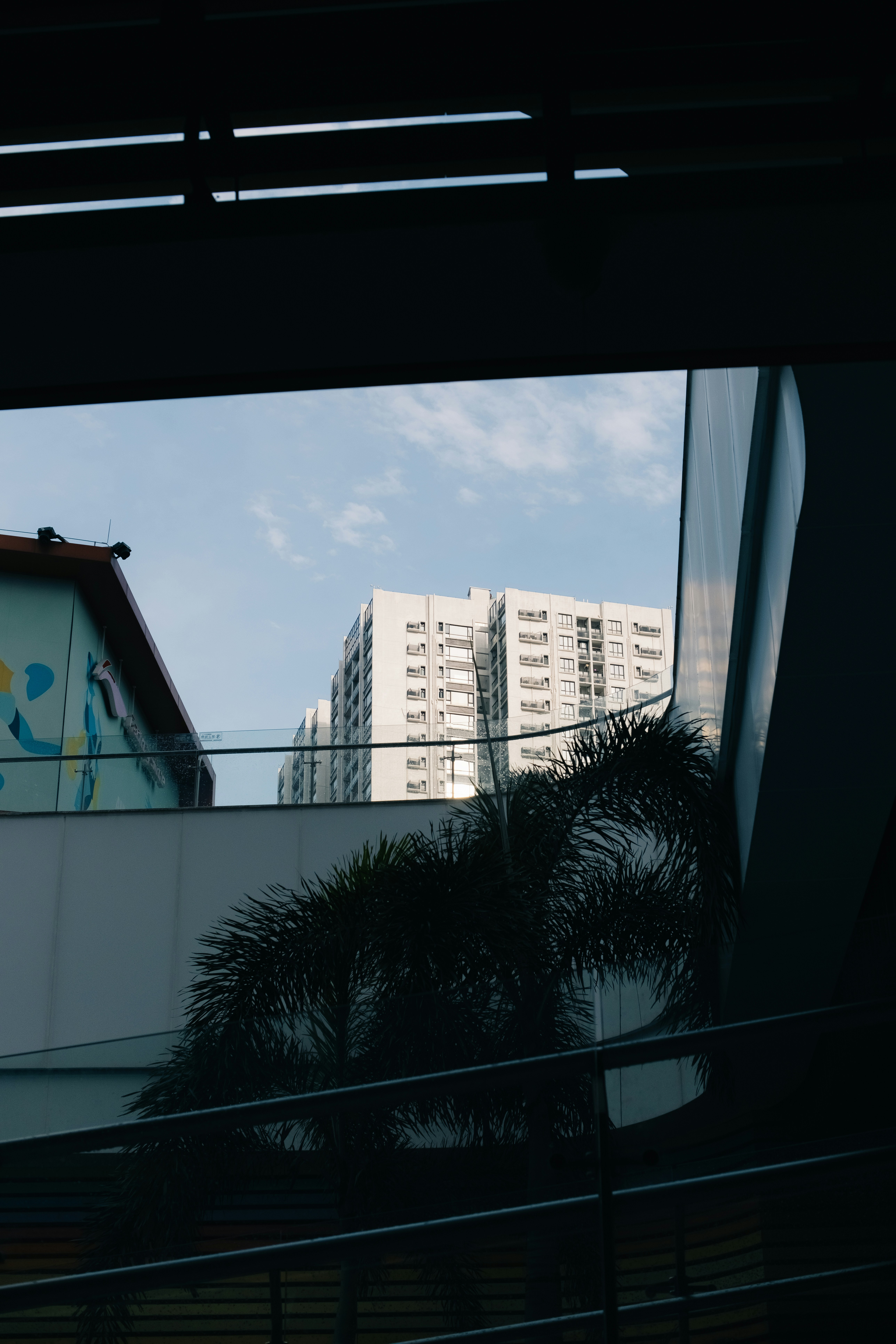Urban Light Corridor: A Slice Through Architecture and Palm Shadows
