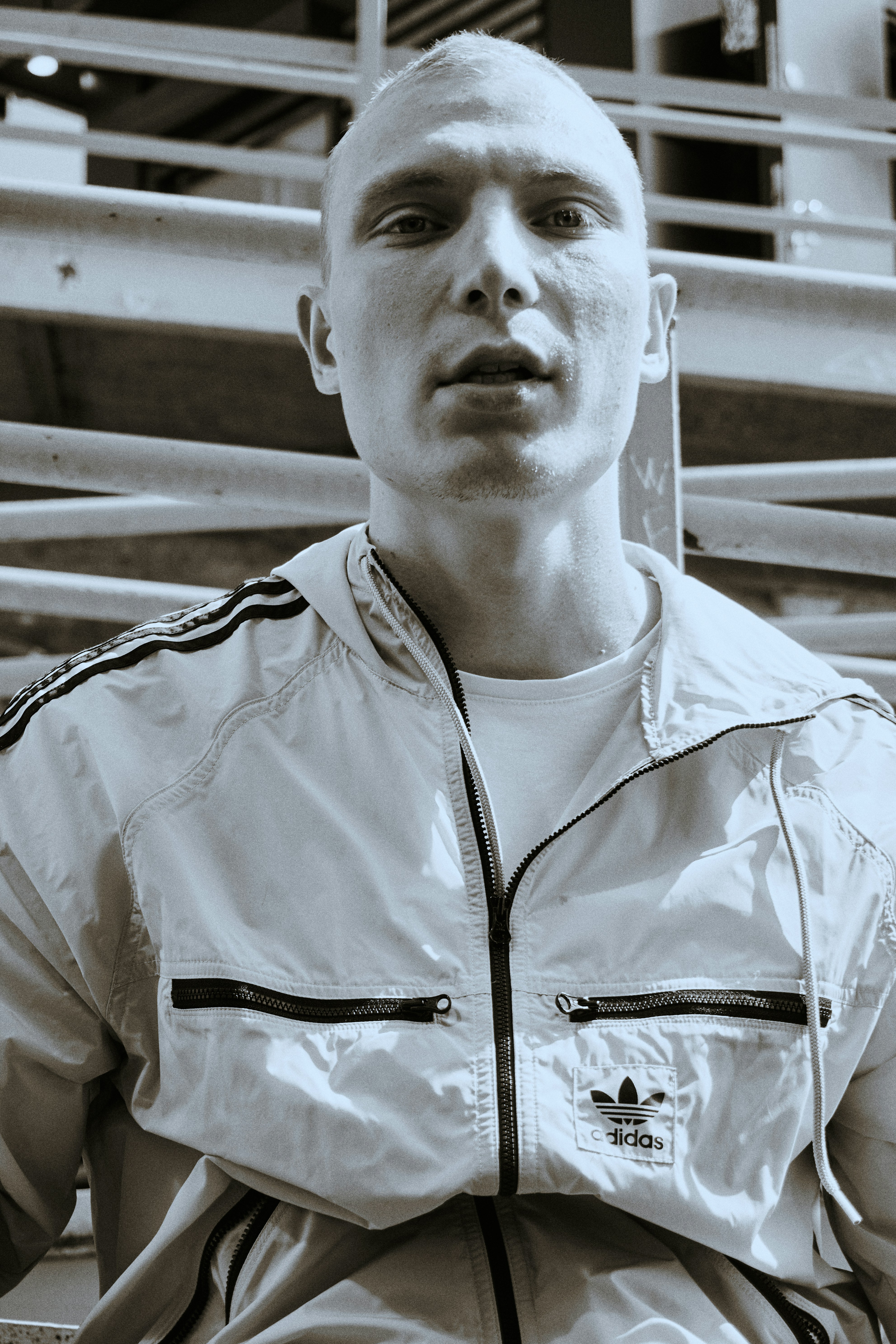 Portrait in Steel and Stripes: A Steel-Grey Moment