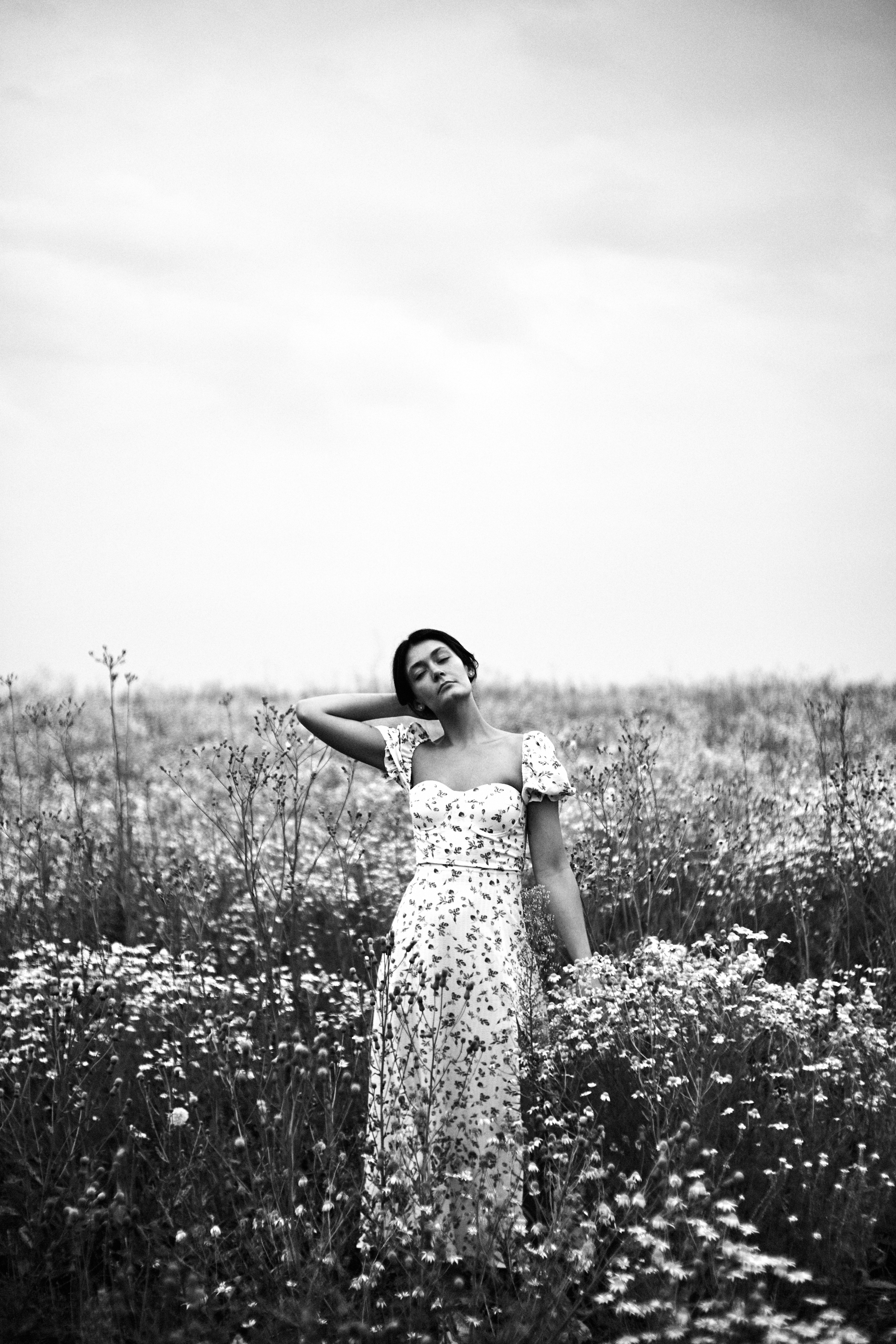 Poised in the Wildflower Field