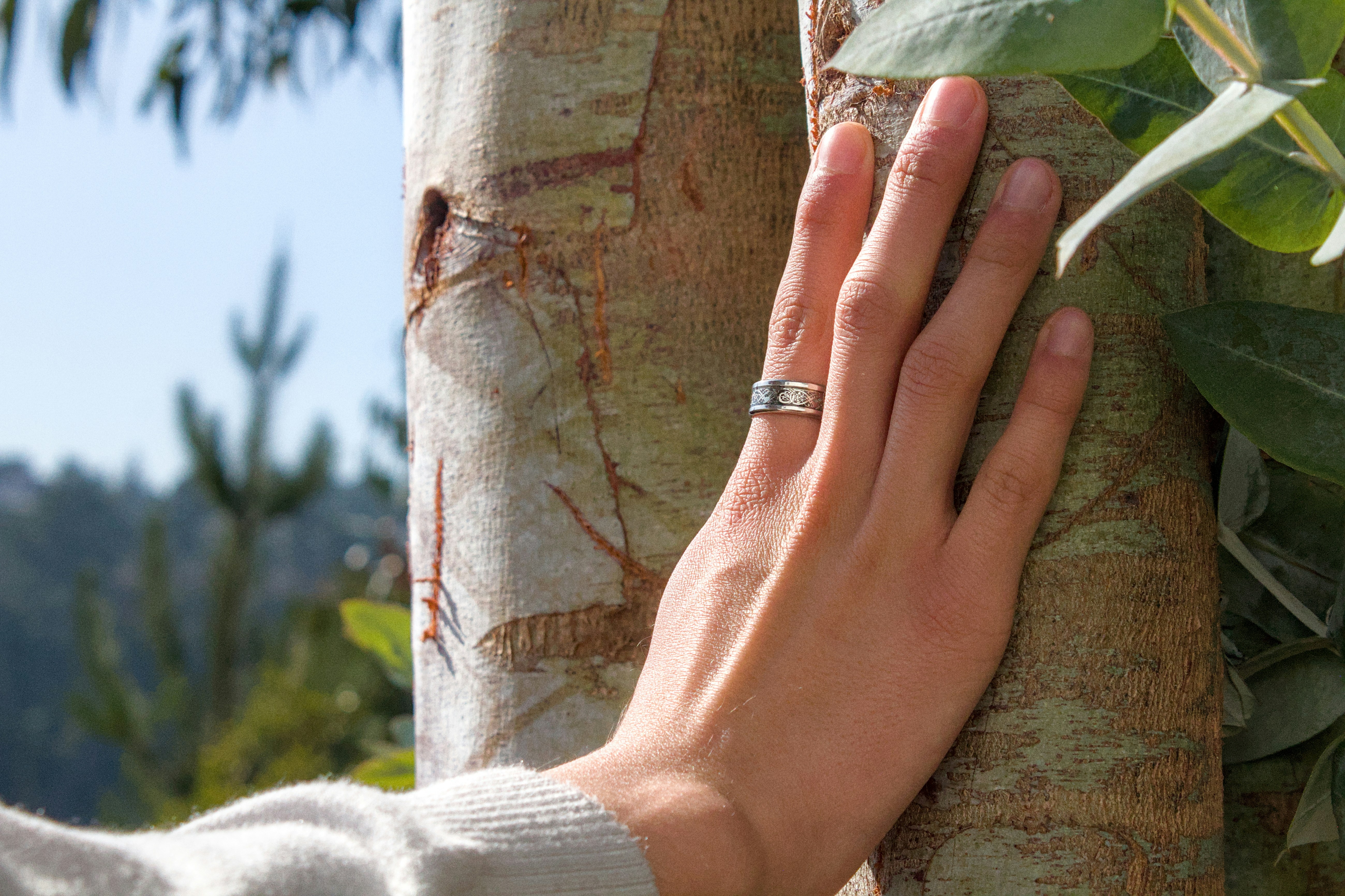 Touch of Bark: A Quiet Hand Resting on a Tree Trunk