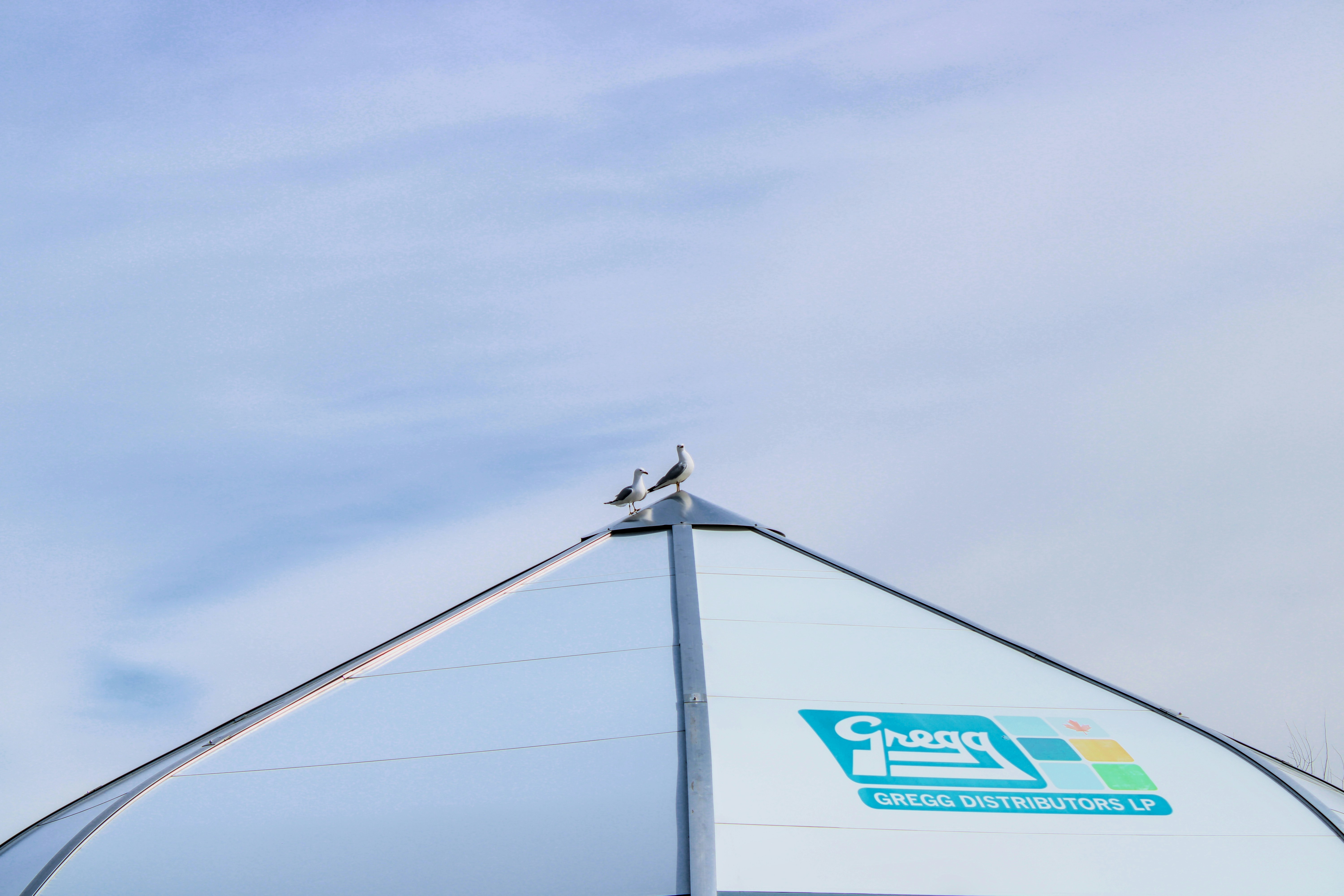 Top of a glass-paned triangular roof with a small bird perched at the apex; signage visible on one panel. Clear sky backdrop and a calm, architectural panning.