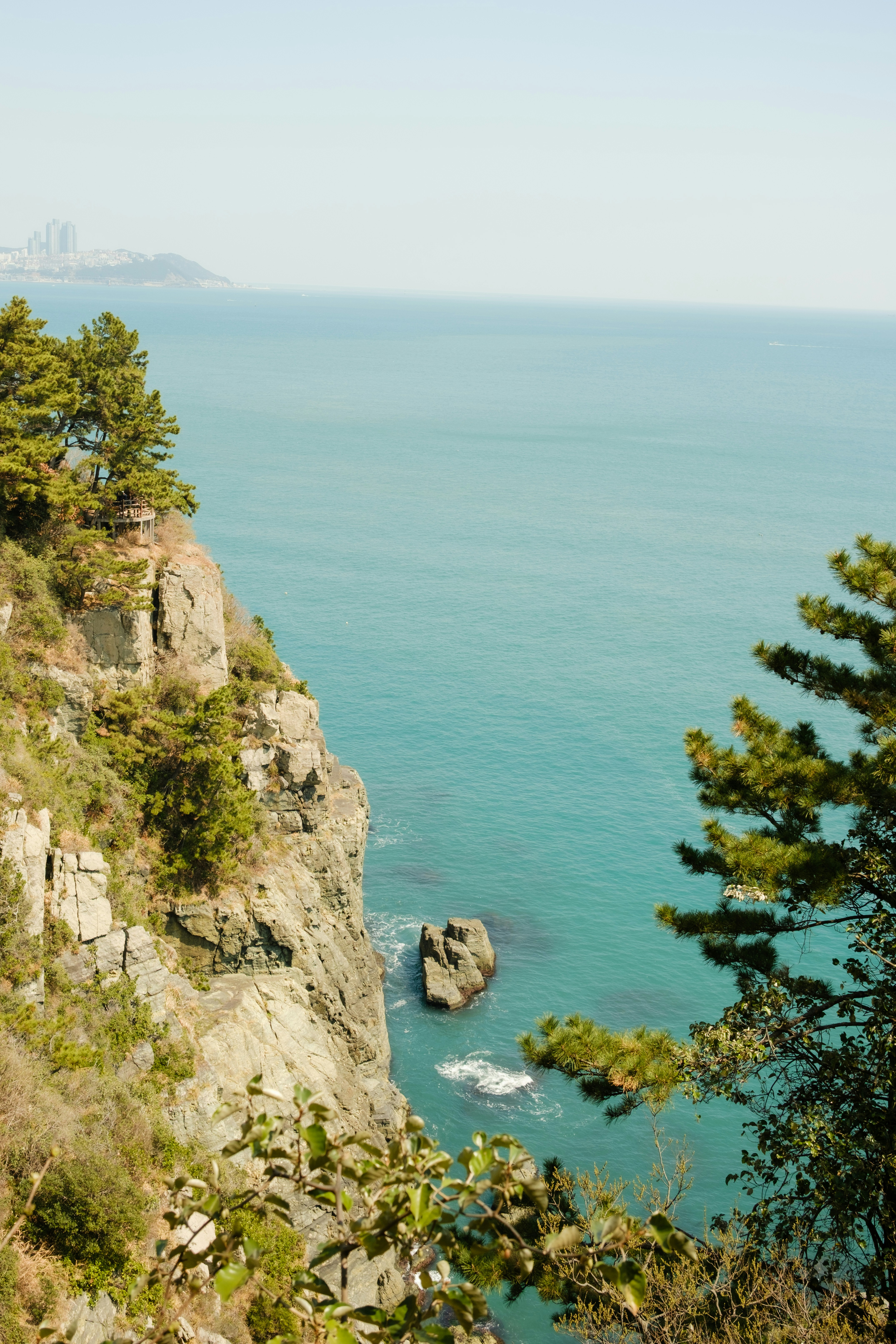 Cliffside Vista: Turquoise Sea and Pine silhouettes