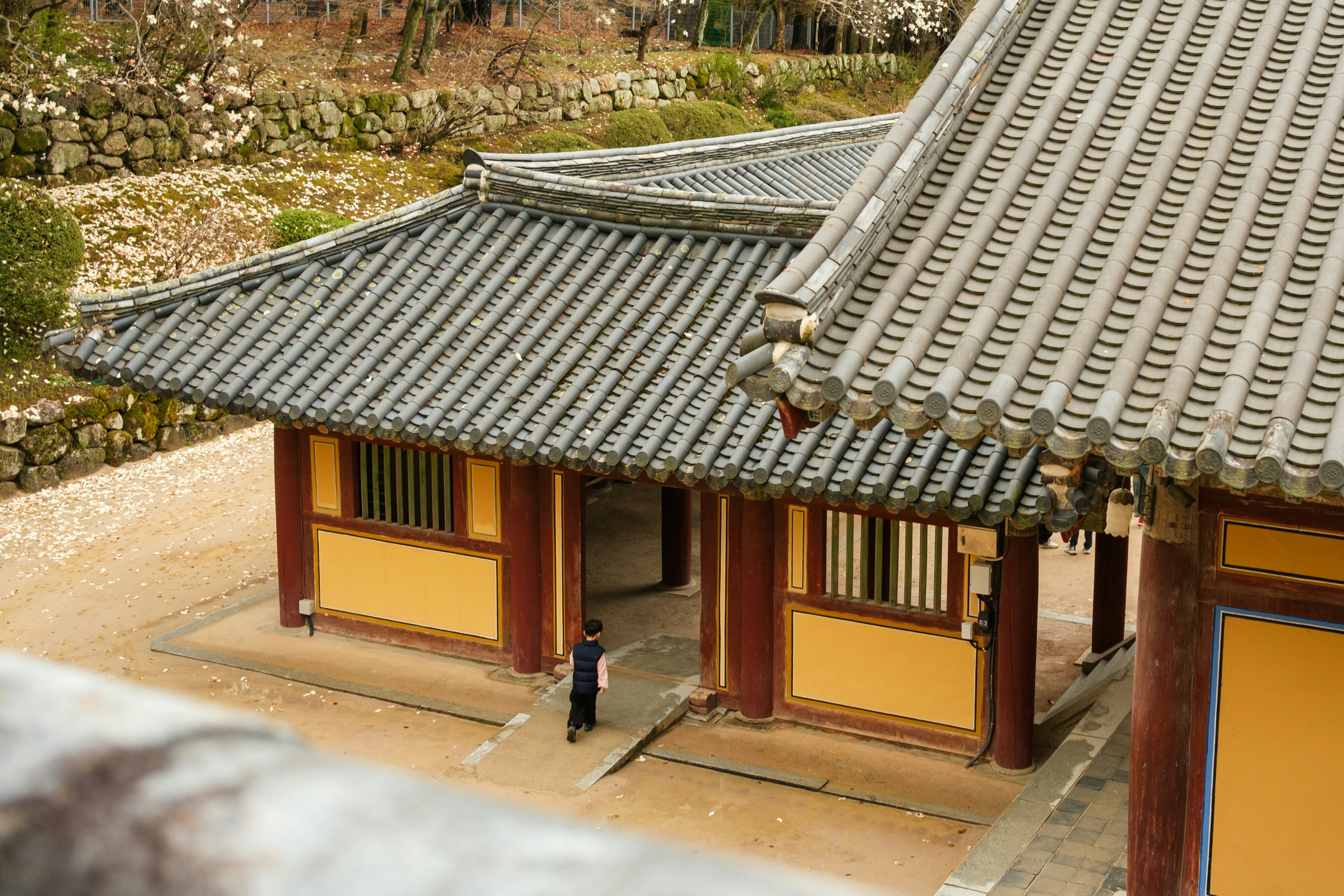 Tiny Visitor at the Gate: A Quiet Moment Inside a Korean Style Courtyard